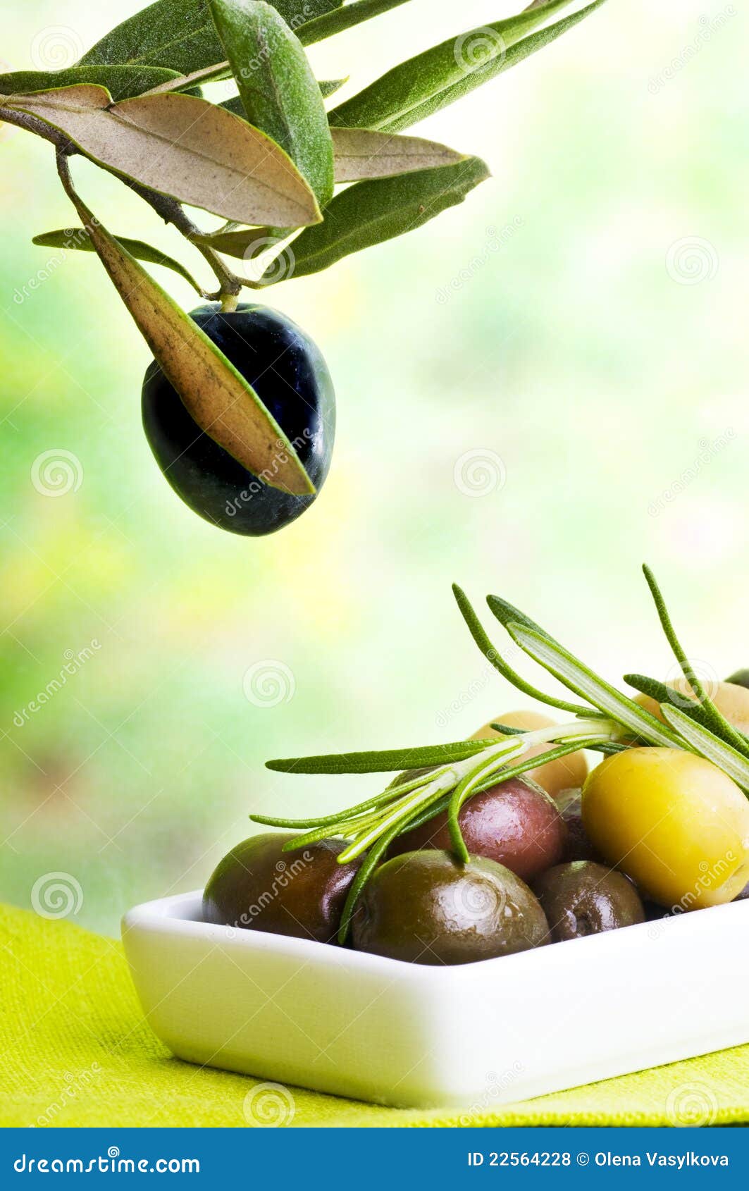 Tasting olive stock photo. Image of cooking, green, restaurant - 22564228