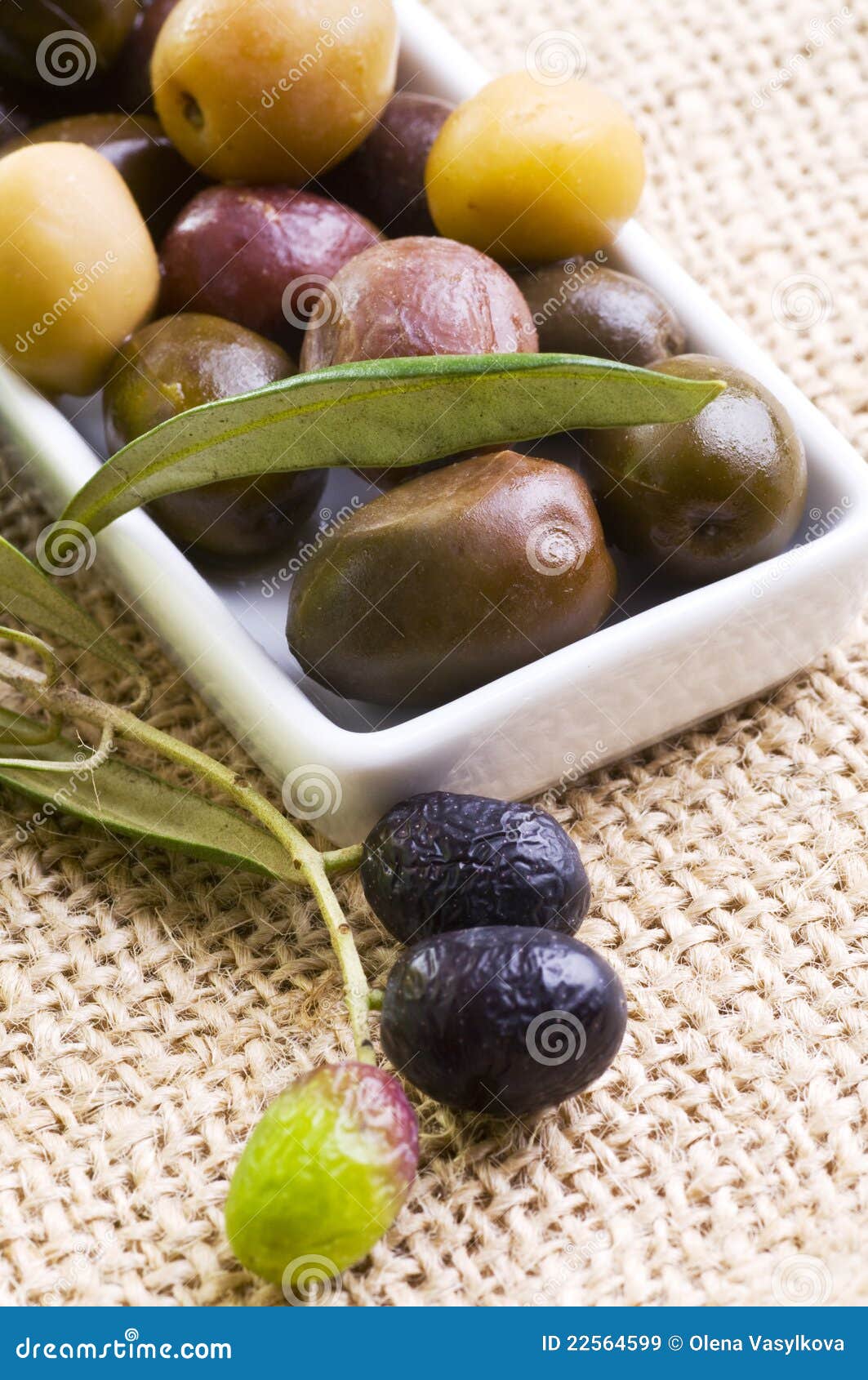 Tasting olive stock image. Image of diet, fruit, aroma - 22564599