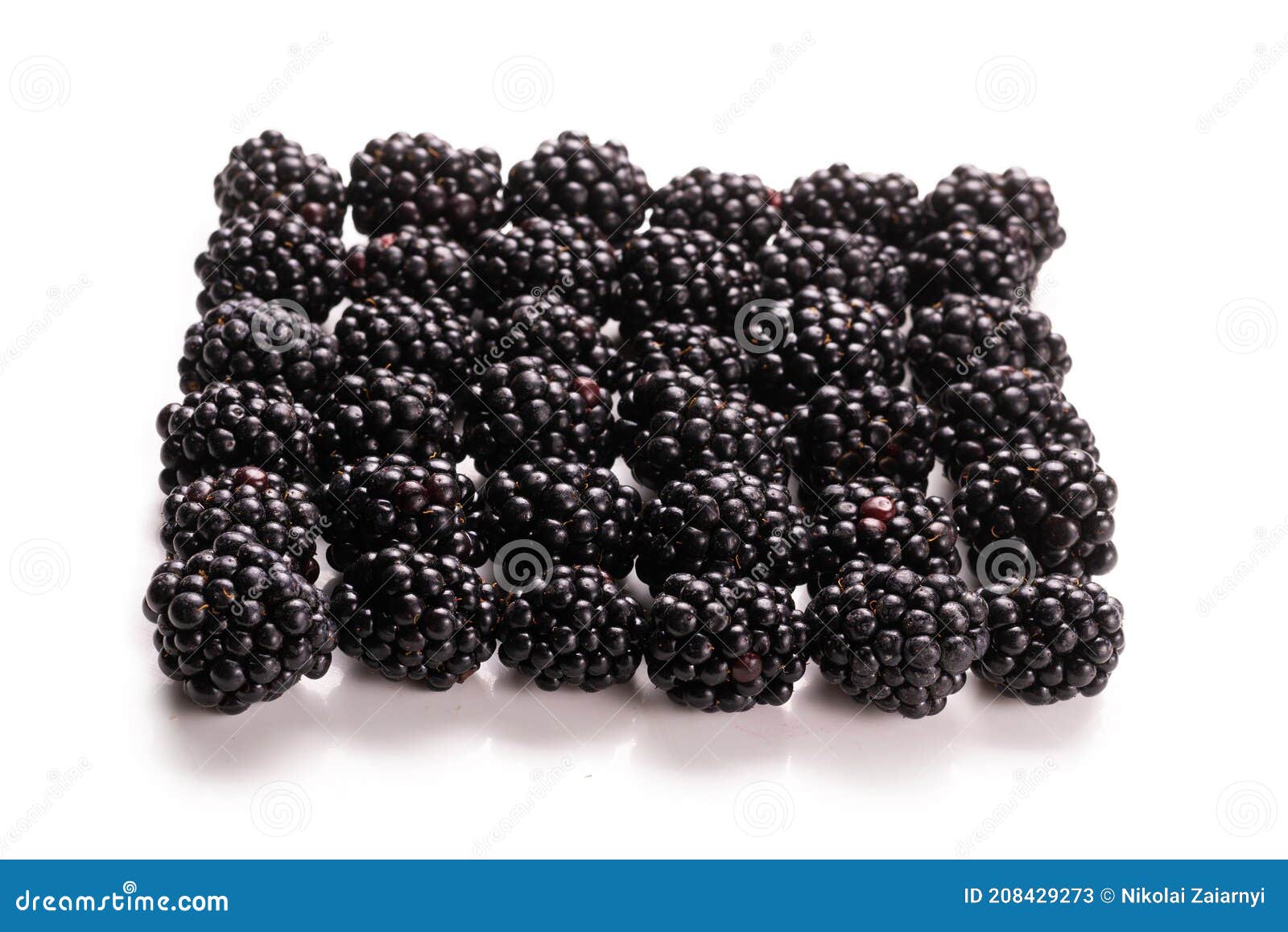 Tasty Blackberry in a Row Isolated on White Stock Image - Image of ...