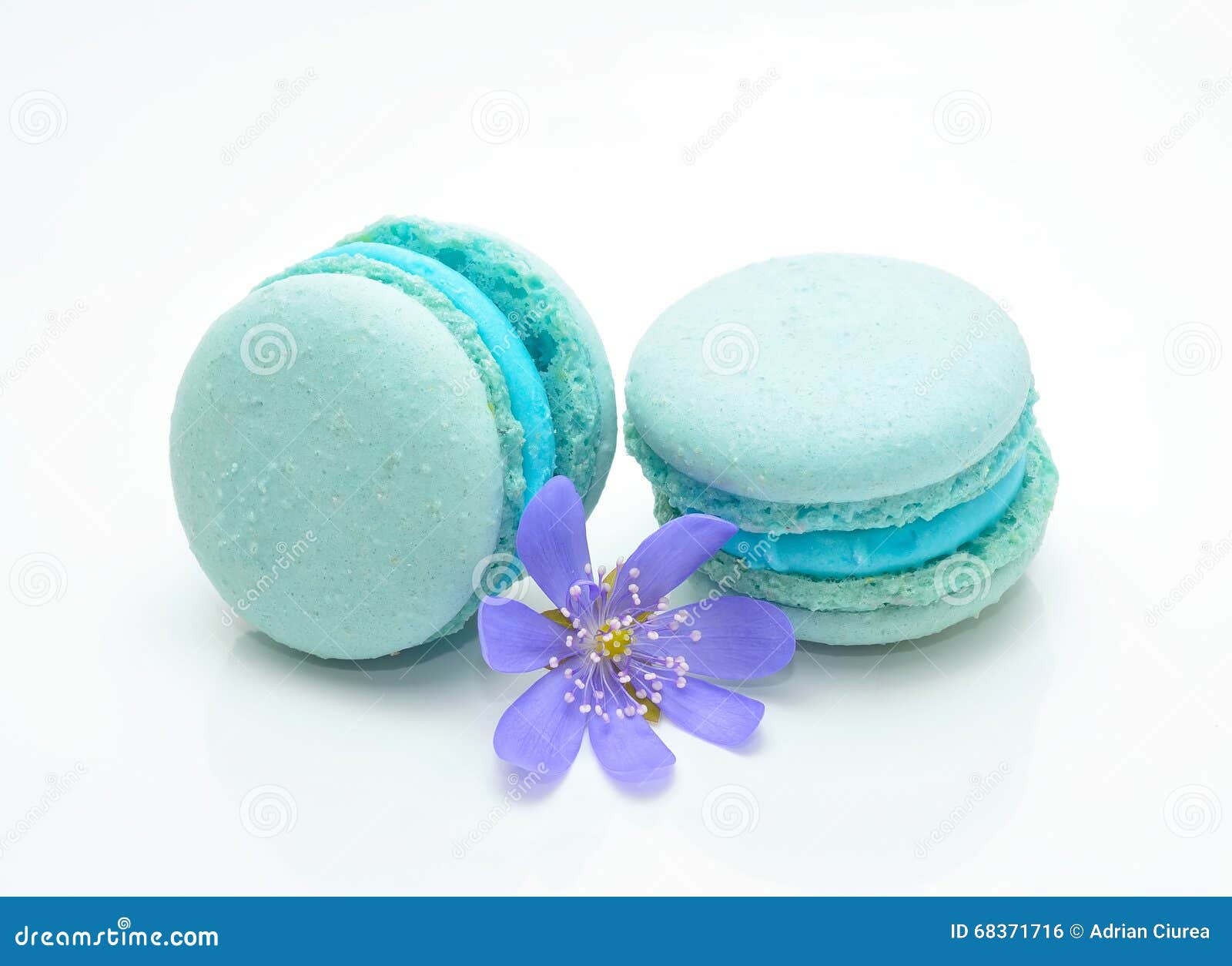 Tasty blue macaroons stock photo. Image of dessert, assorted - 68371716