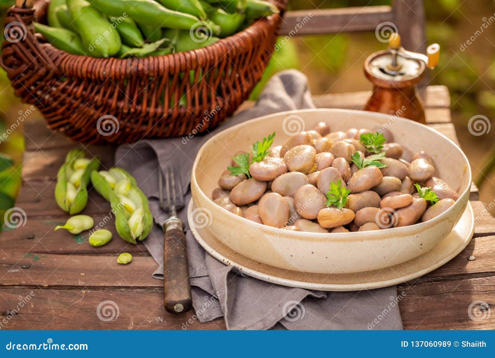 Tasty Broad Beans in a Small Greenhouse Stock Image - Image of boiled ...