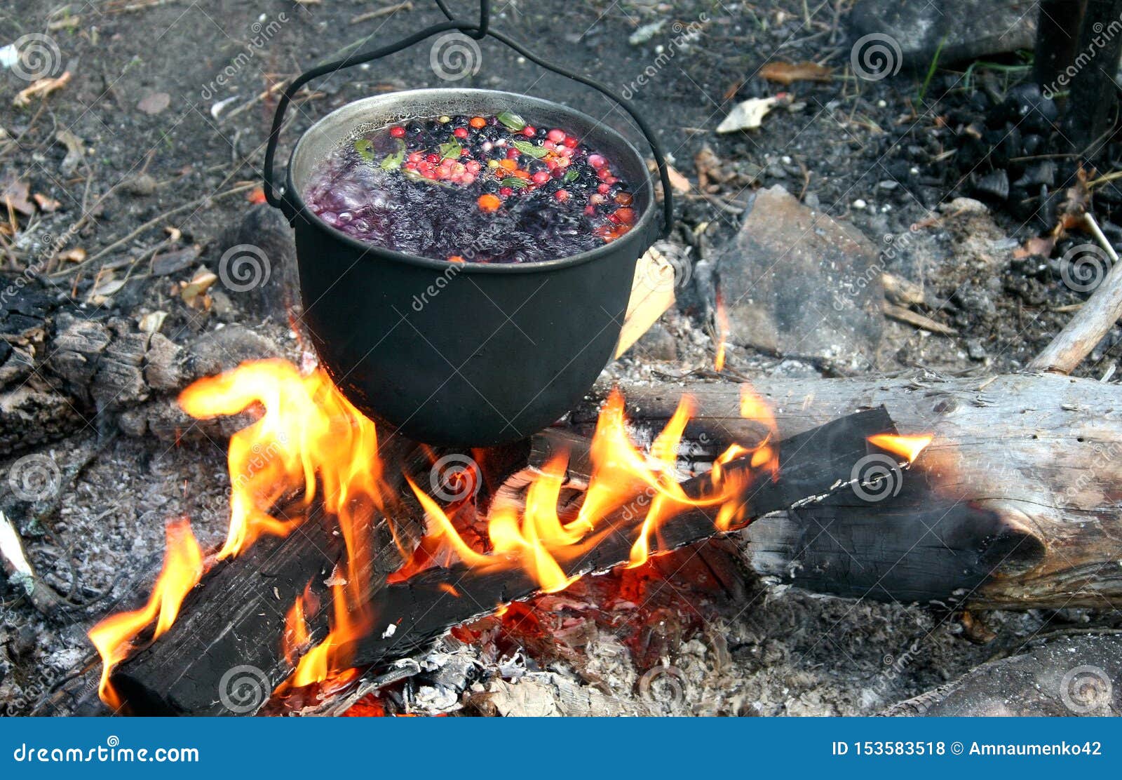 Tasty campfire tea stock photo. Image of quiet, tasty - 153583518