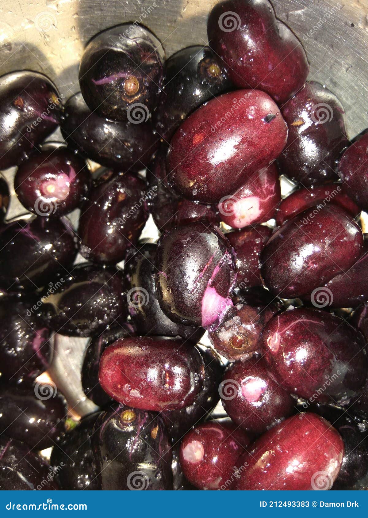 Tasty Collection of Indian Blackberry Jamun Stock Image - Image of collection, food: 212493383