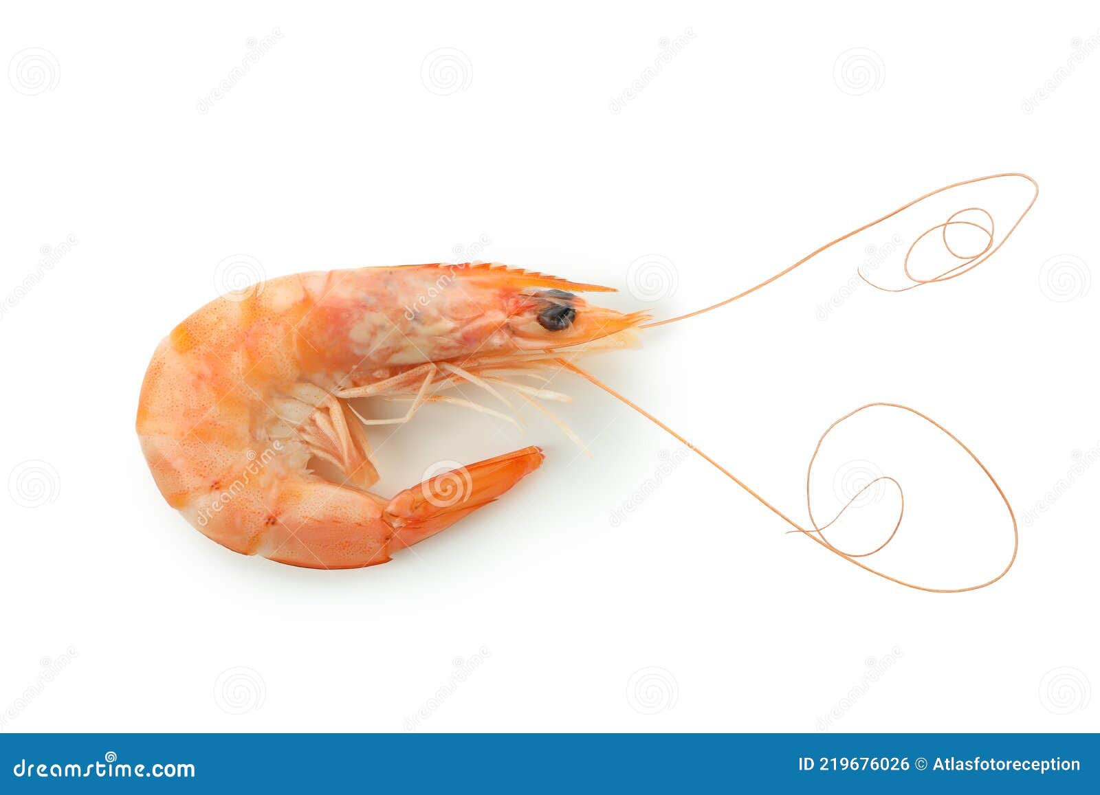 Tasty Cooked Shrimp Isolated on White Background Stock Photo - Image of ...