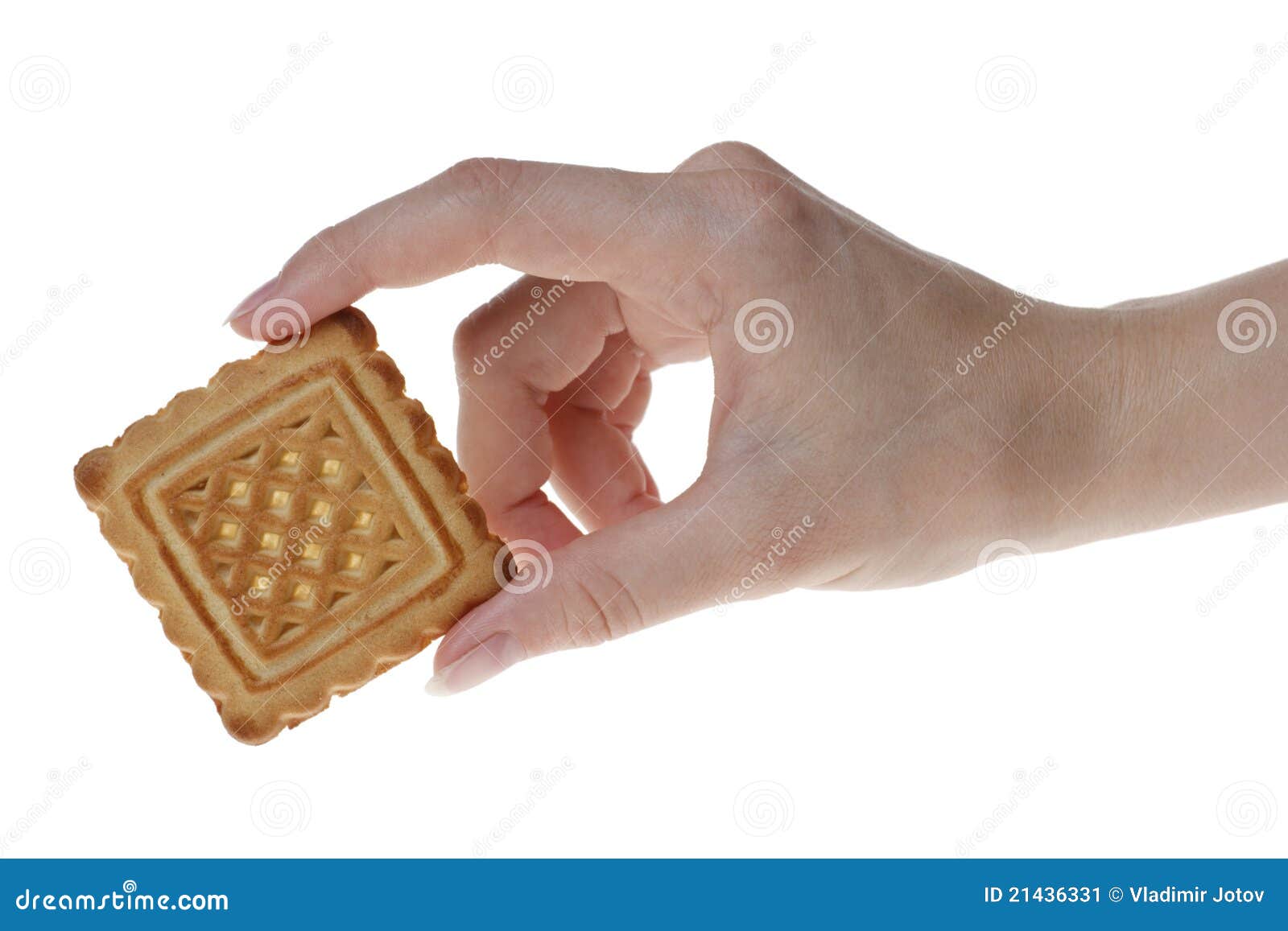 Tasty Cookie in Woman S Hand Stock Image - Image of pastry, gold: 21436331
