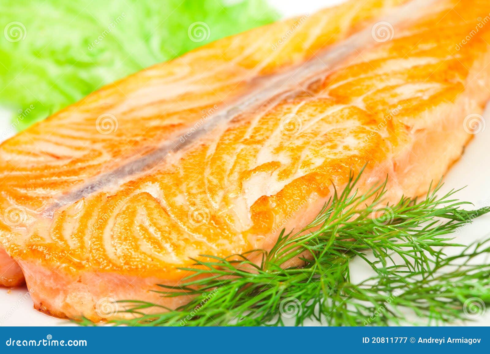 Tasty fillet of a salmon stock image. Image of culinary - 20811777