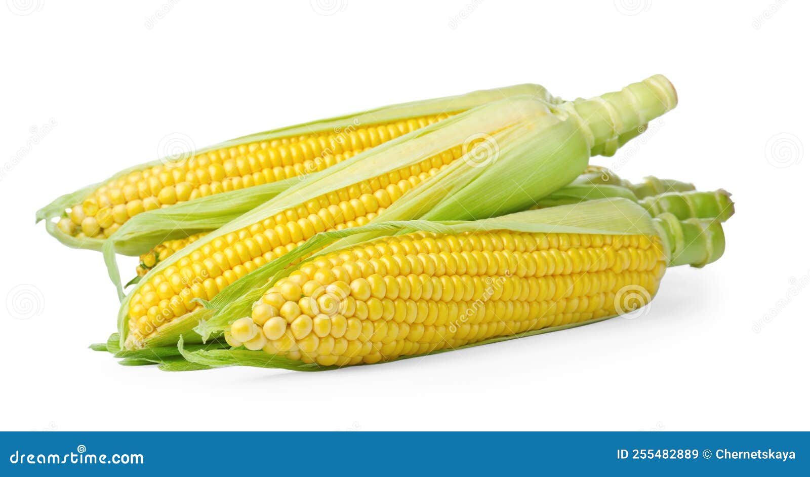 Tasty Fresh Corn Cobs Isolated on White Stock Image - Image of grain ...