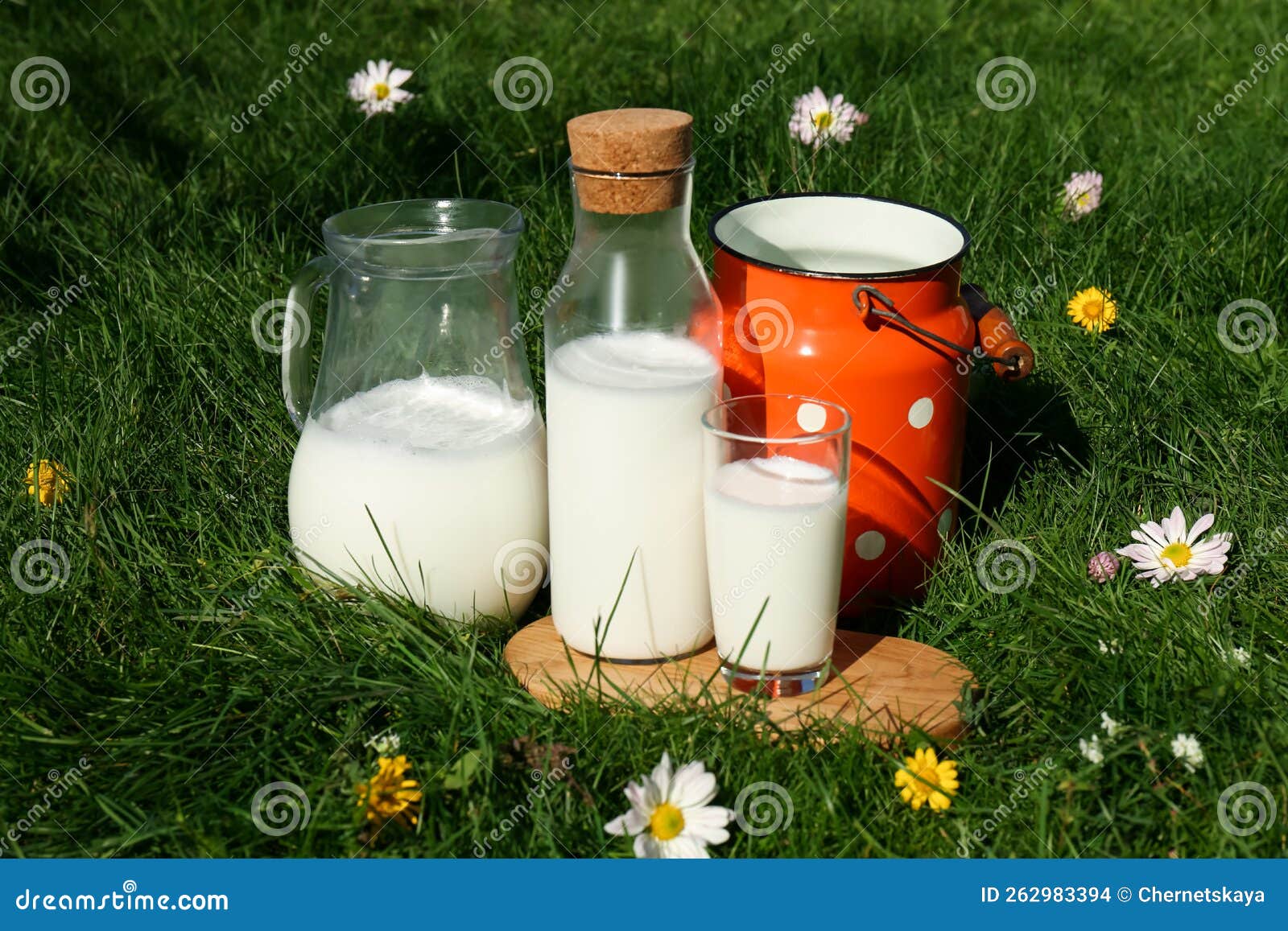 Tasty Fresh Milk on Green Grass Outdoors Stock Photo - Image of ...