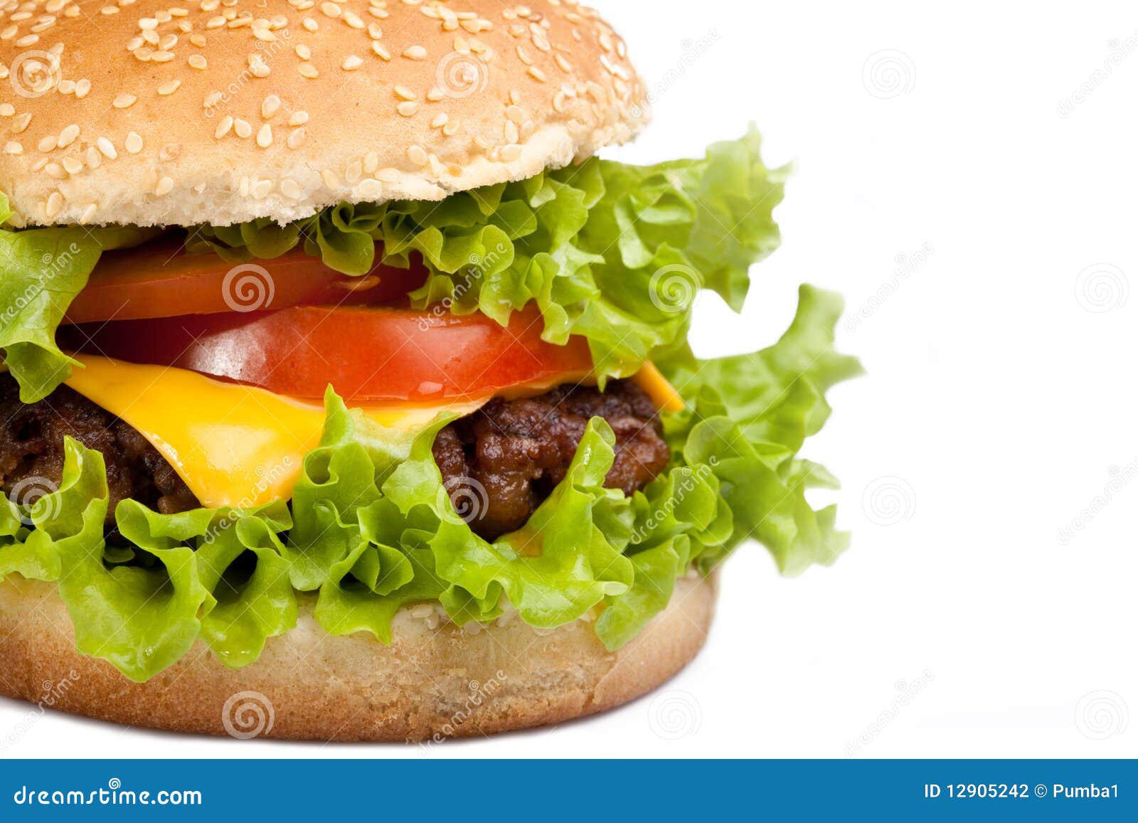 Tasty hamburger stock photo. Image of isolated, huge - 12905242