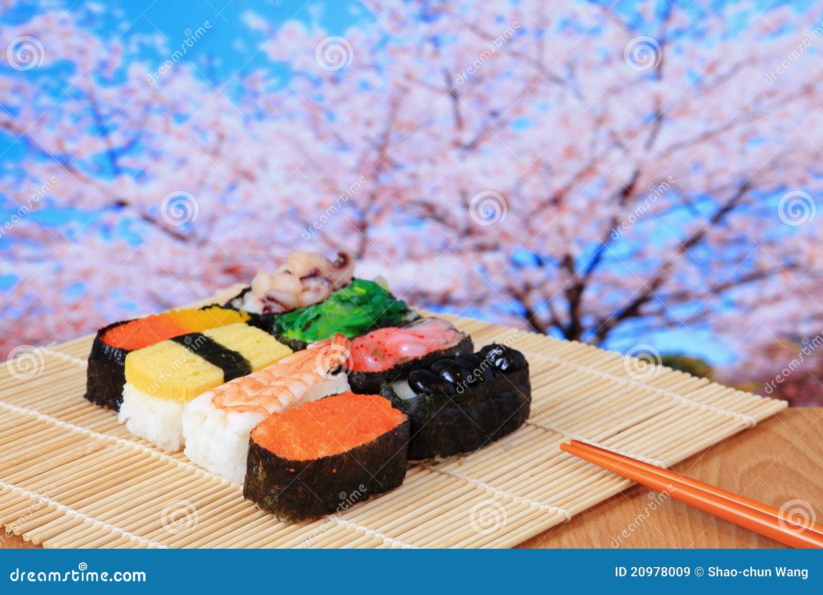 Tasty Japan Sushi with Pink Cherry Blossoms Tree Stock Image - Image of ...