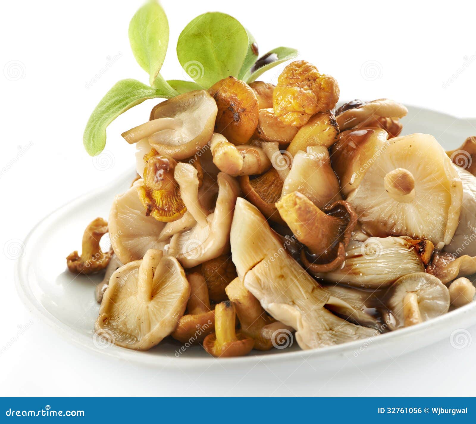 Tasty mix of mushrooms stock photo. Image of shitake - 32761056