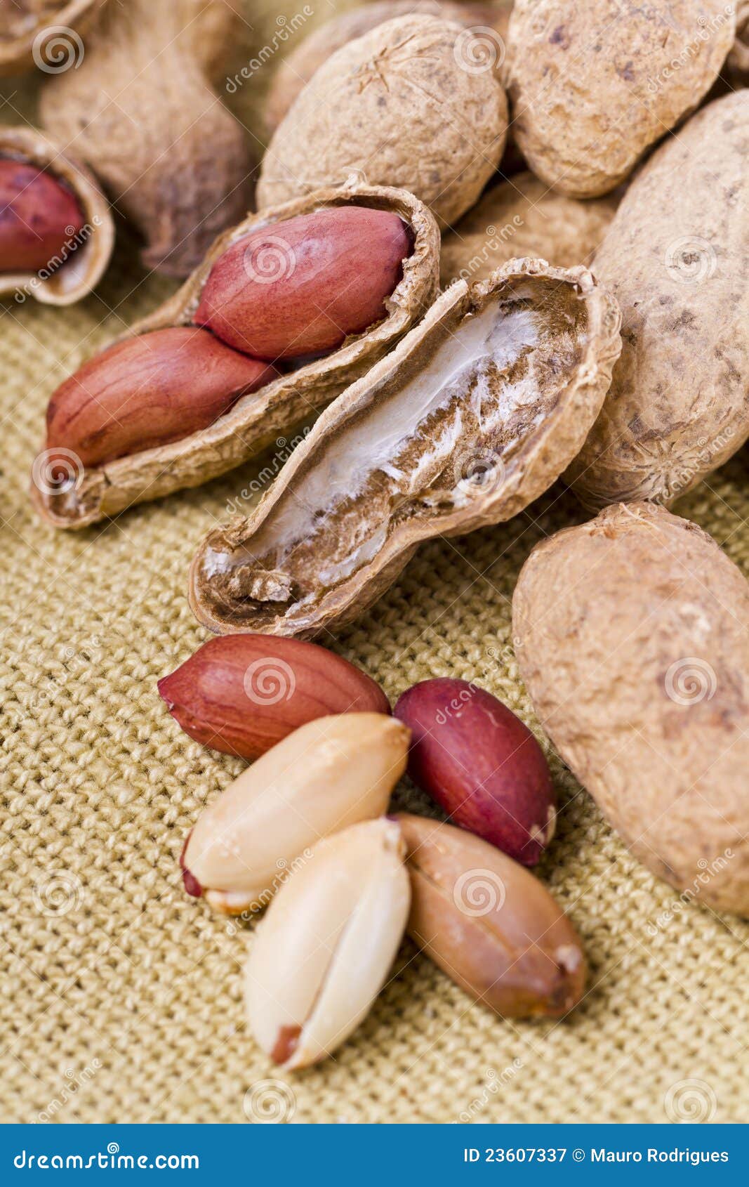 Tasty peanuts stock image. Image of healthy, macro, arachis - 23607337