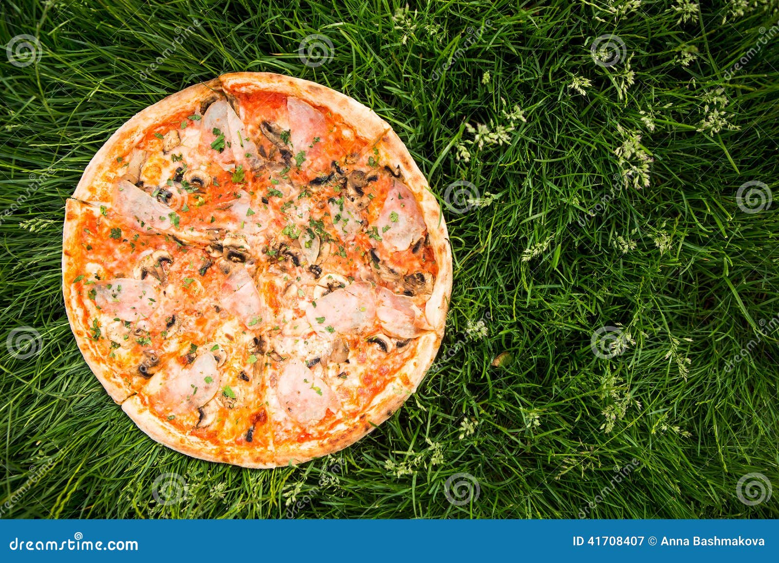 Tasty pizza on the grass stock image. Image of freshness - 41708407