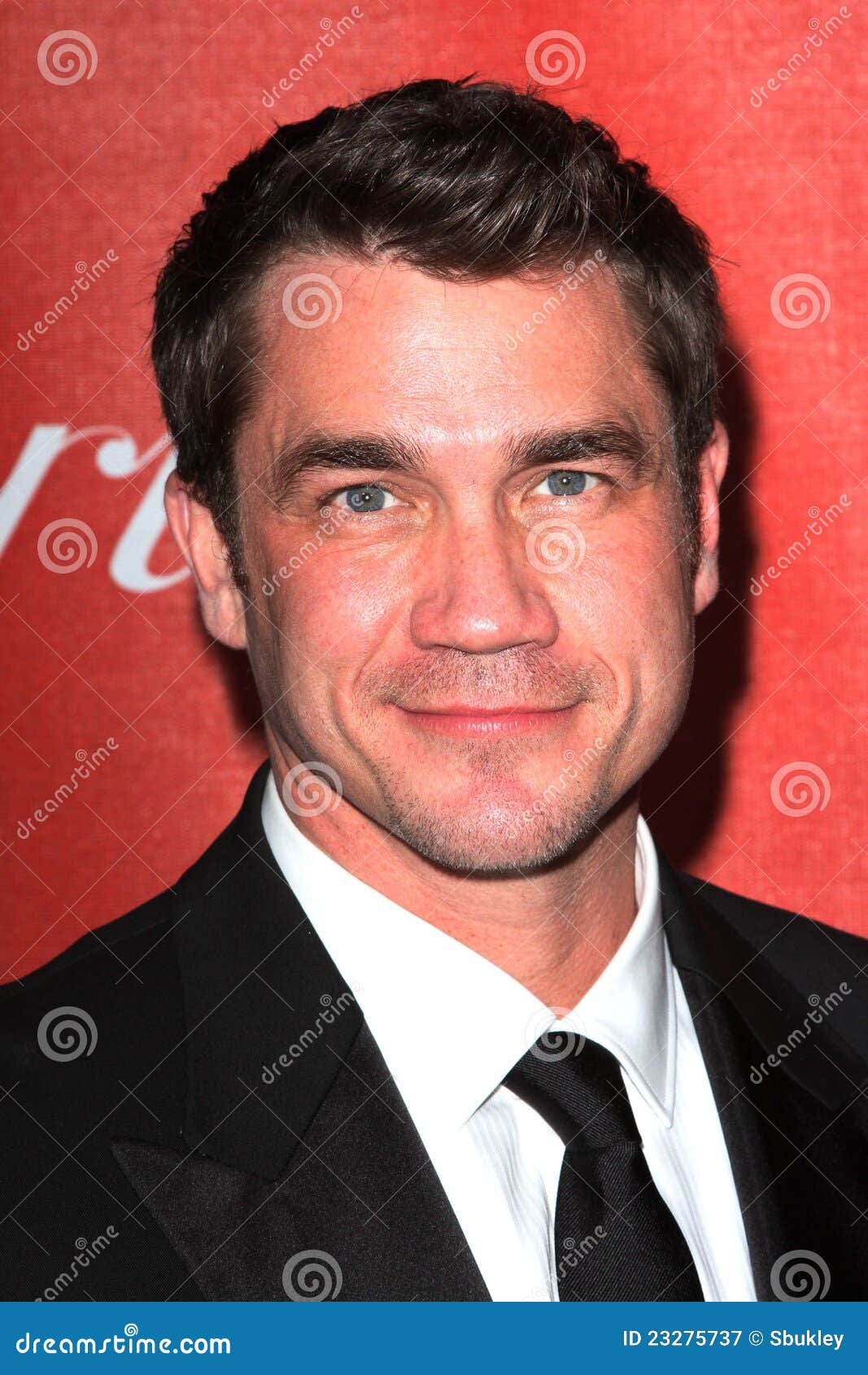 Tate Taylor editorial photography. Image of palm, international - 23275737