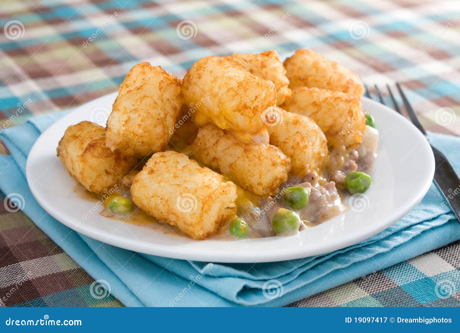 Tater Tot Casserole Plate stock image. Image of onion - 19097417