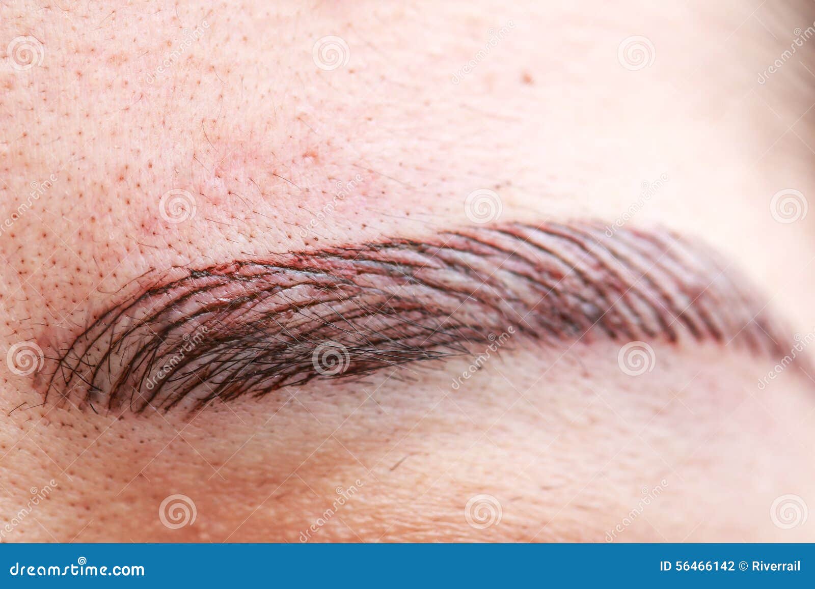 Tatouage Permanent De Sourcil Photo stock - Image du pointeau ...