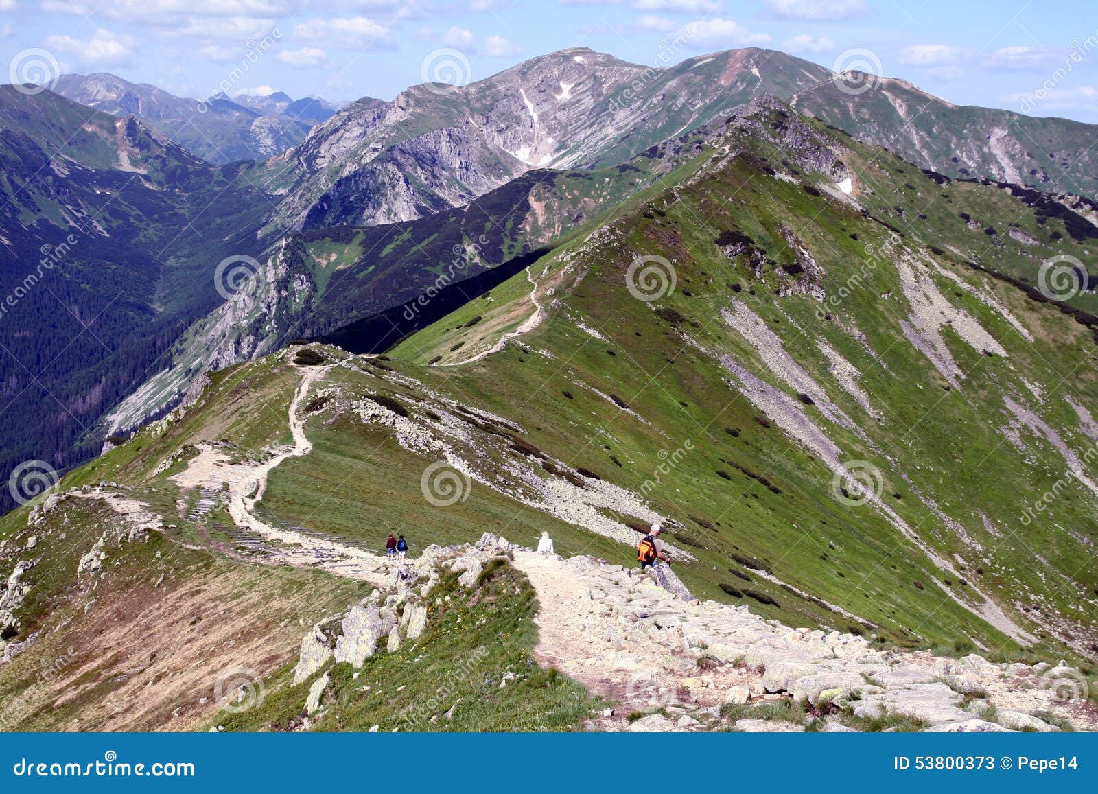 Tatry mountains stock image. Image of forest, green, height - 53800373