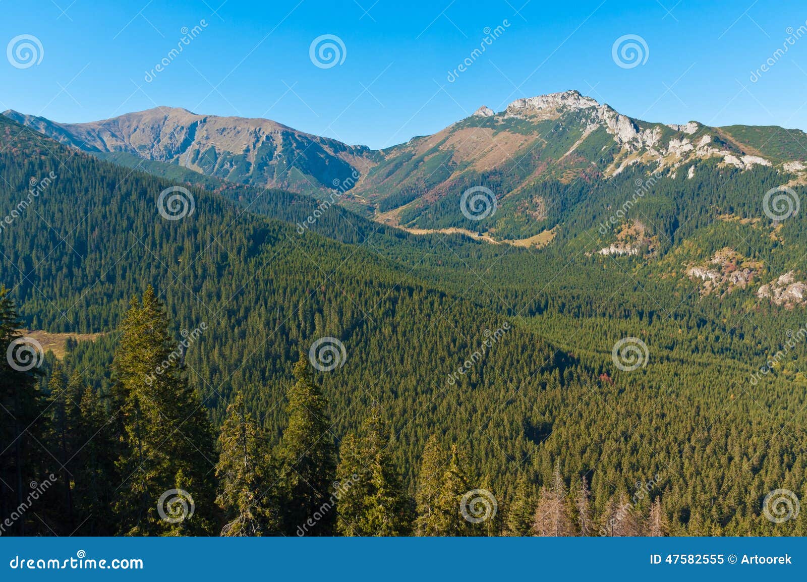 Tatry mountains stock image. Image of nature, mountains - 47582555