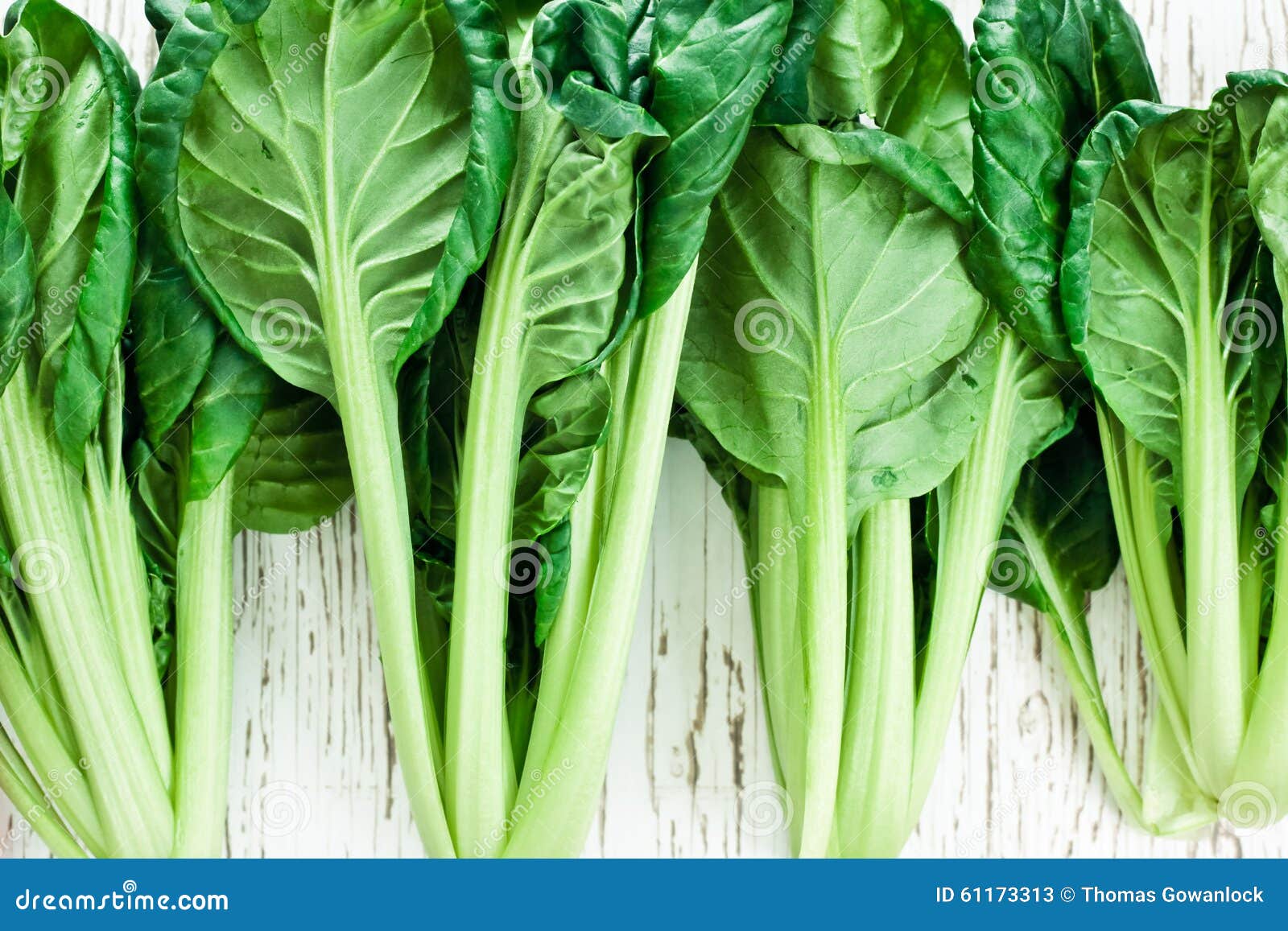 Tatsoi image stock. Image of japonais, personne, ingrédient - 61173313