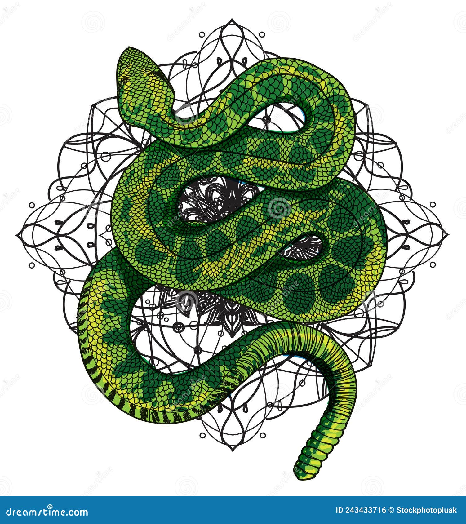 Tattoo Art Snake Hand Drawing and Sketch Stock Vector - Illustration of ...