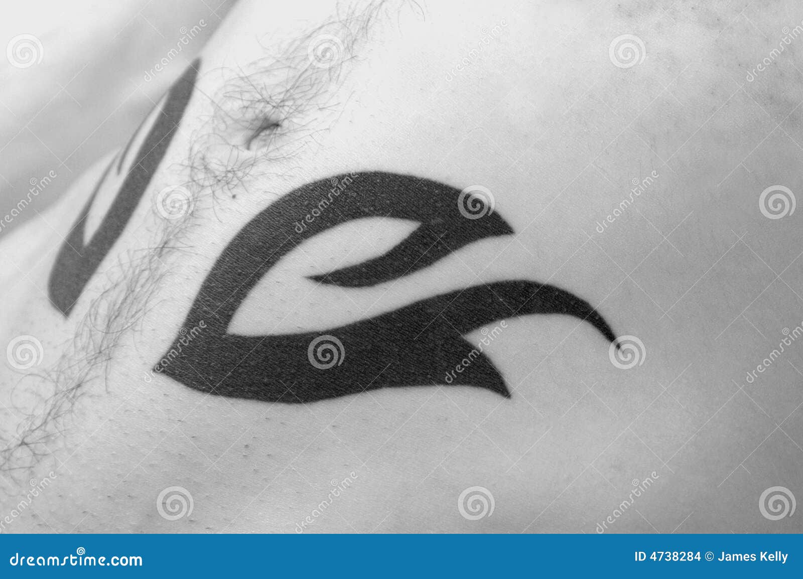 Tattoo Body Picture. Image: 4738284