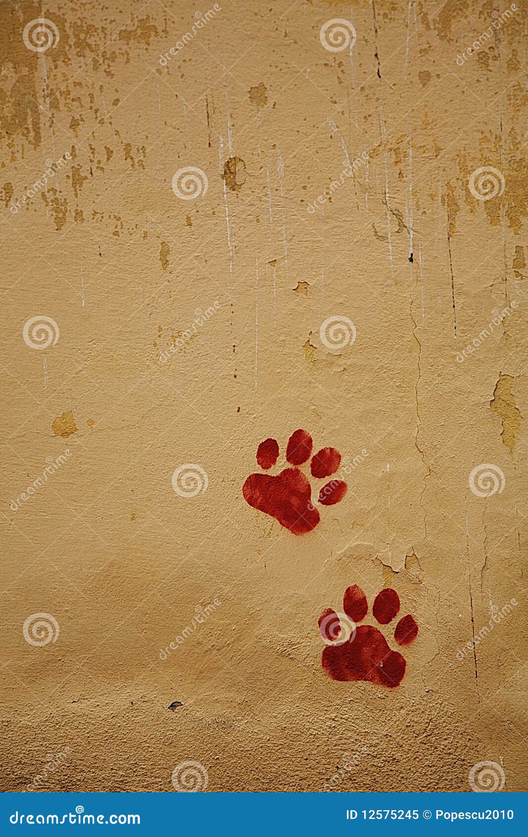 Tatzen stockbild. Bild von tatzen, tapeten, haustiere - 12575245