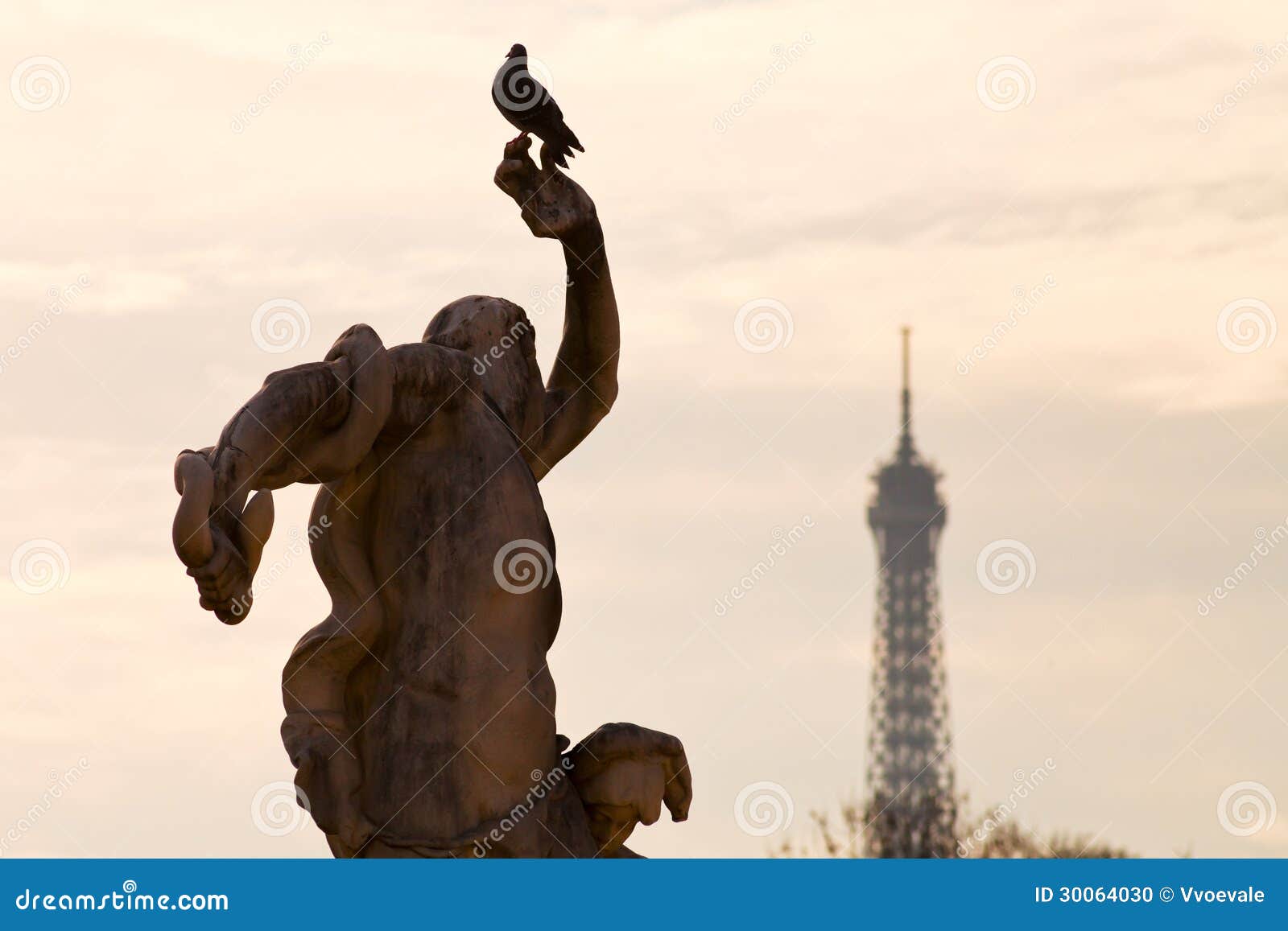 Taube, Statue Und Eiffelturm in Paris Stockfoto - Bild von ...