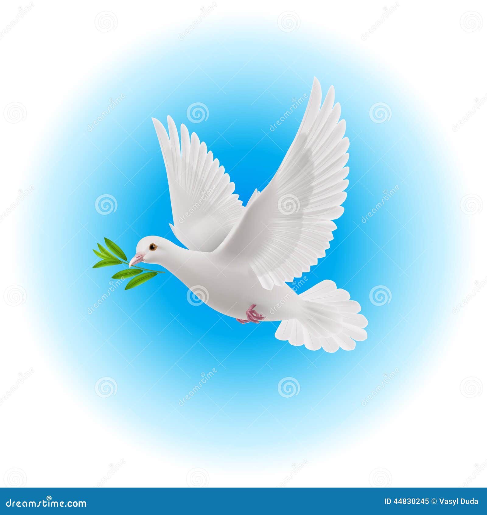 Taube des Friedens vektor abbildung. Illustration von vogel - 44830245
