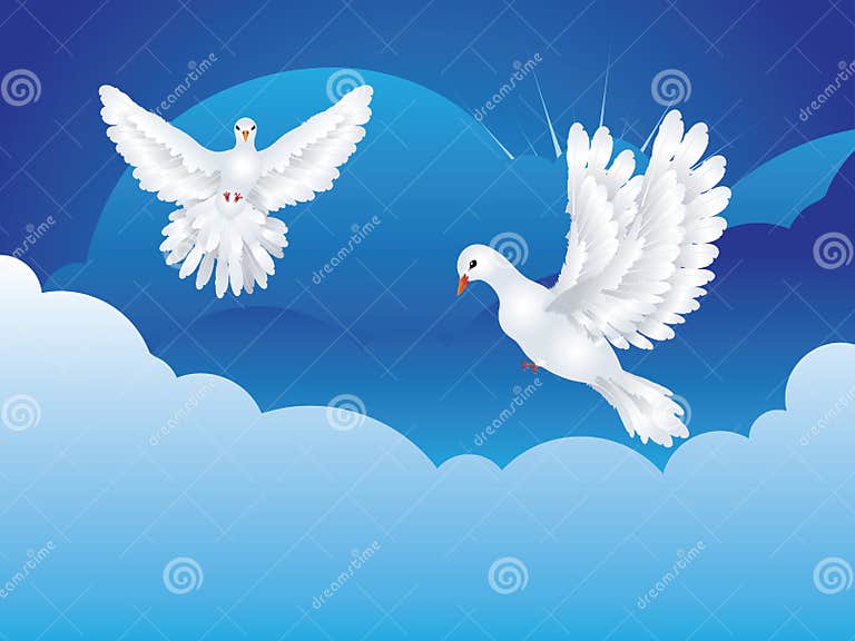 Taube im Himmel vektor abbildung. Illustration von hell - 64848262