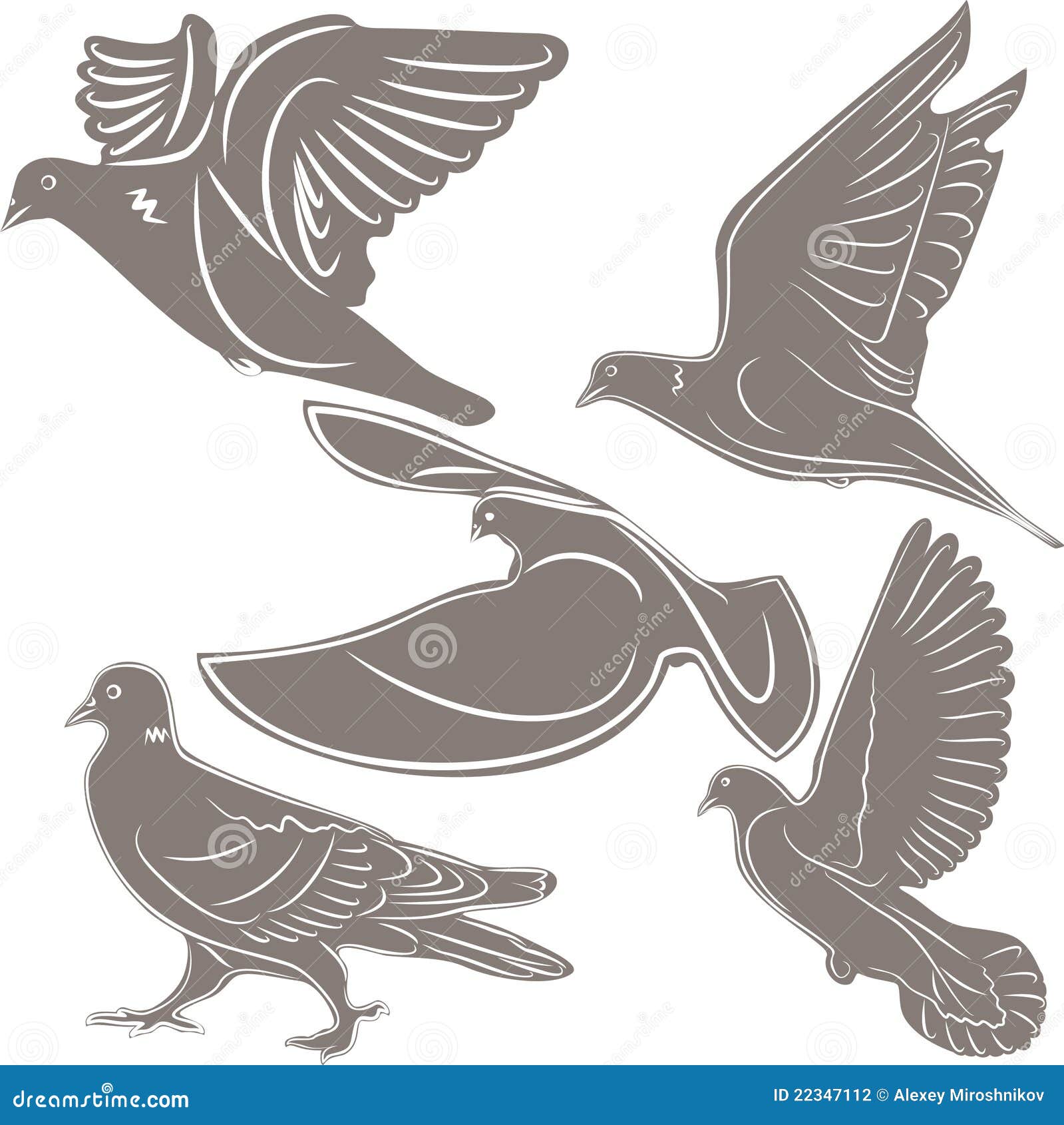 Tauben, ein Vogelsymbol, vektor abbildung. Illustration von frieden ...