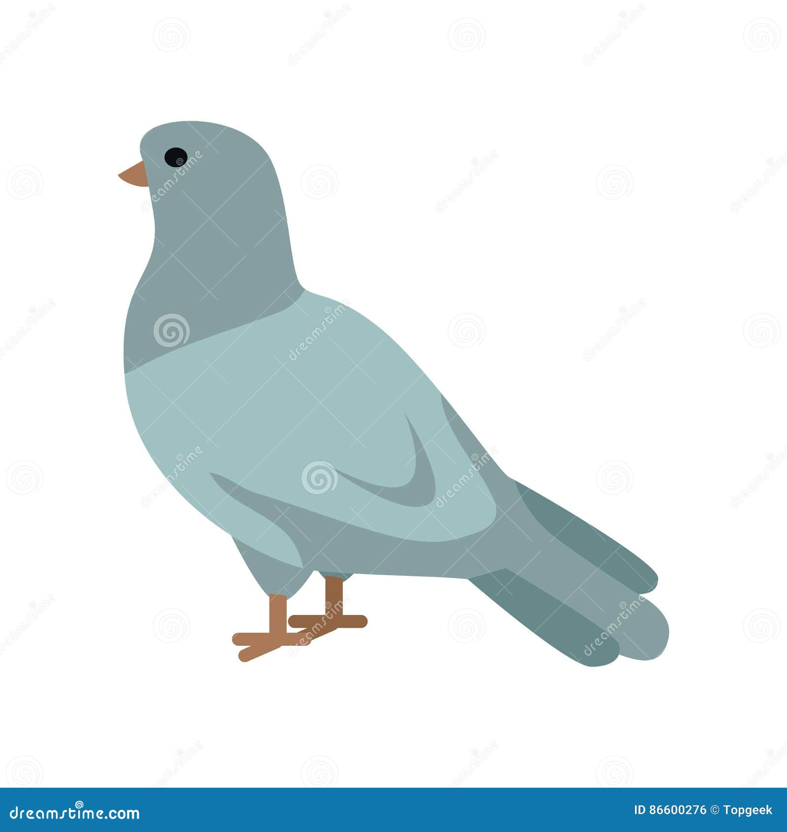 Tauben-Vektor-Illustration Im Flachen Design Vektor Abbildung ...