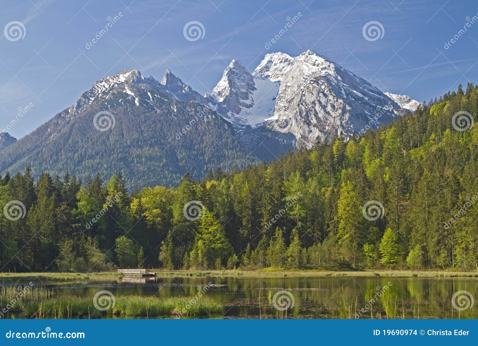 Taubensee stock photo. Image of forest, mountain, trees - 19690974