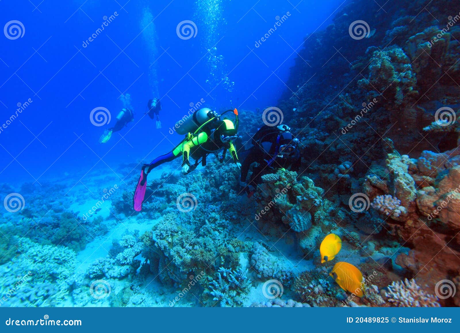 Tauchen im Roten Meer stockbild. Bild von nave, tauchen - 20489825