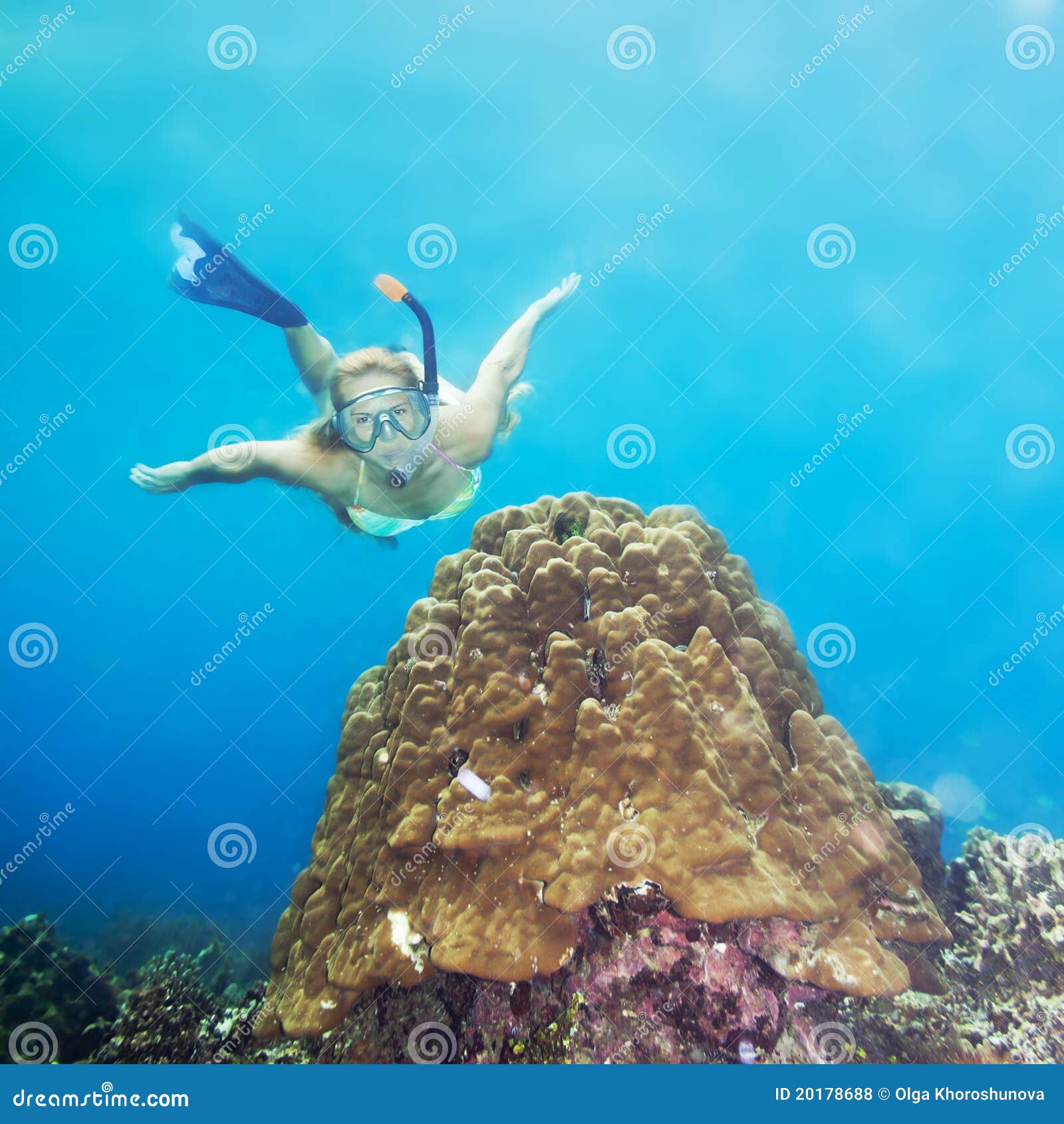 Taucher stockfoto. Bild von tauchen, freizeit, riff, flossen - 20178688