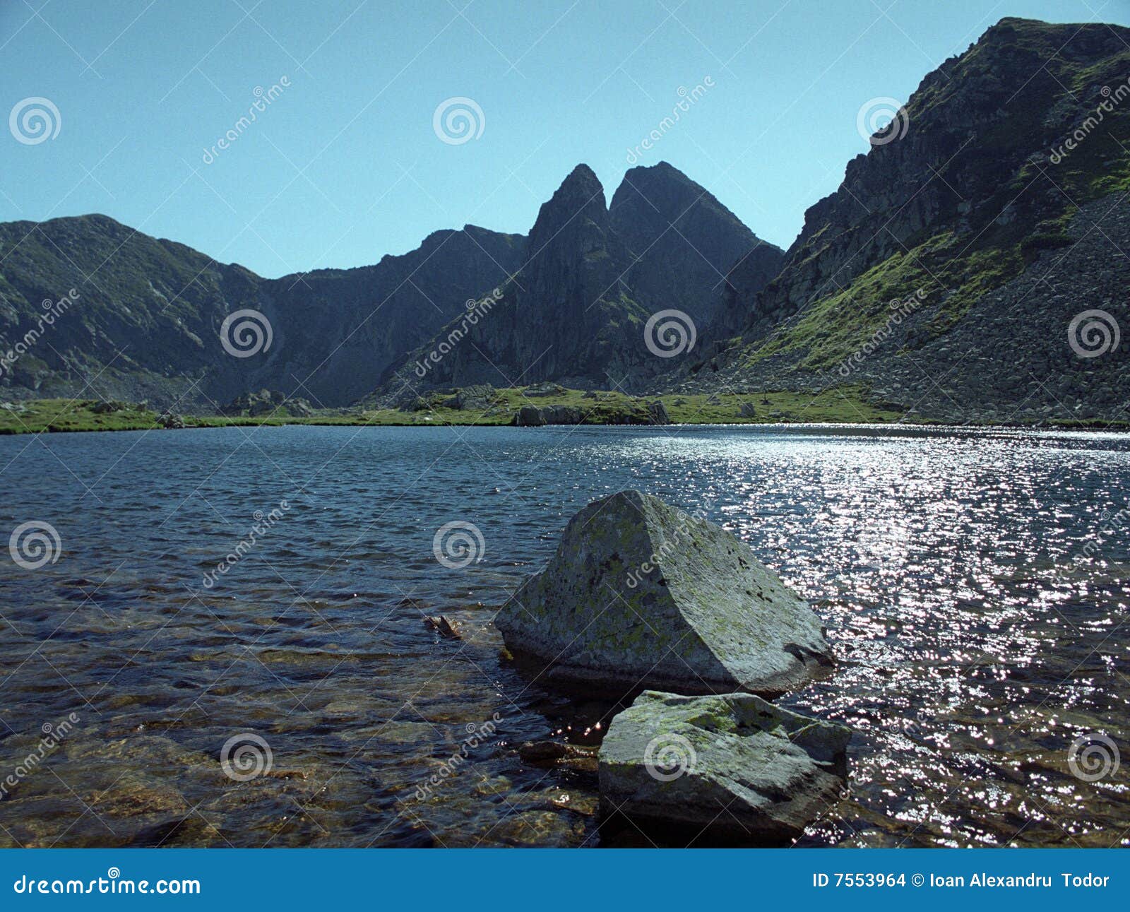 Taul Portii foto de archivo. Imagen de naturalizado, cubo - 7553964
