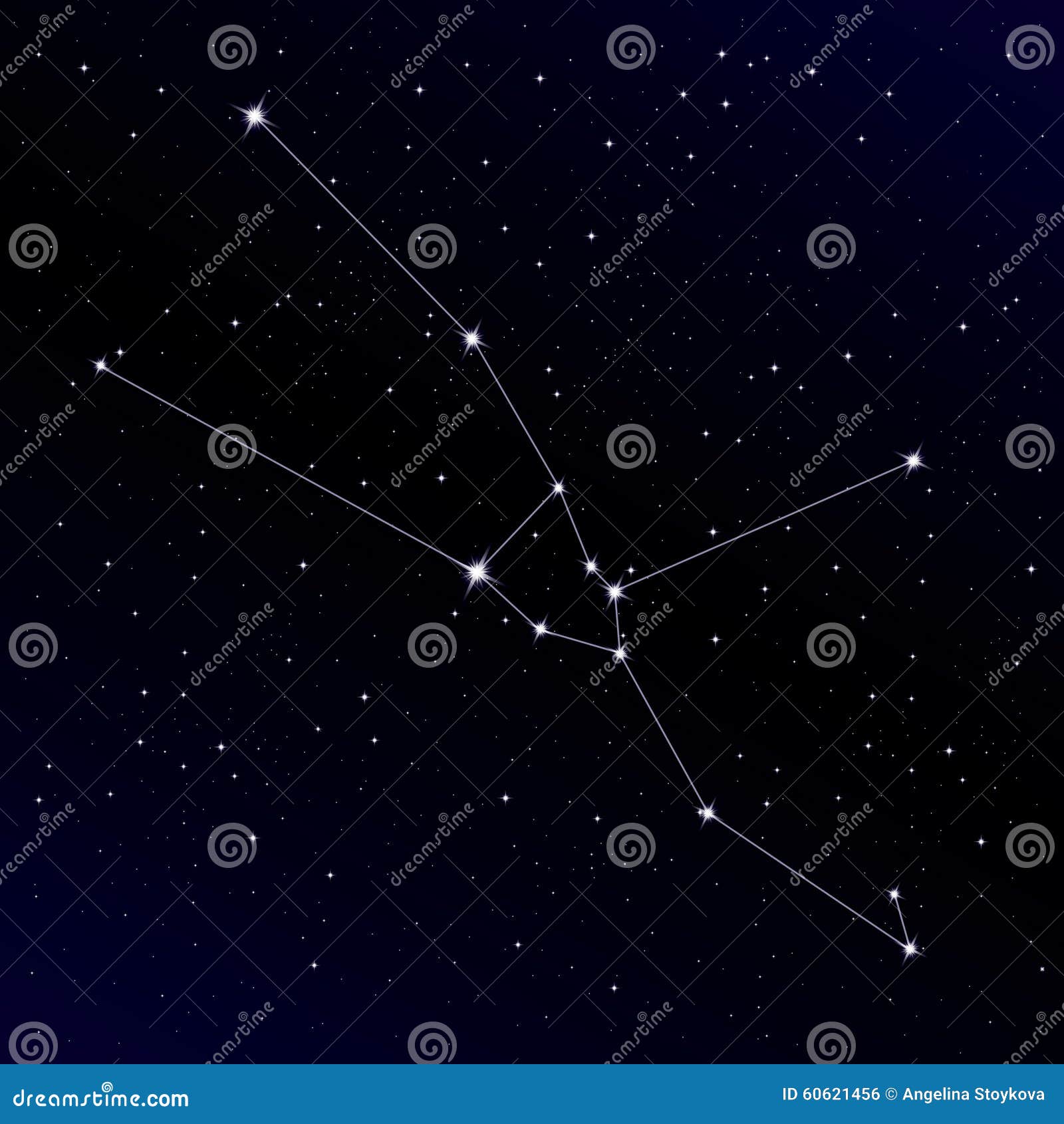Taurus Constellation, Vector Illustration With The Names Of Basic Stars ...