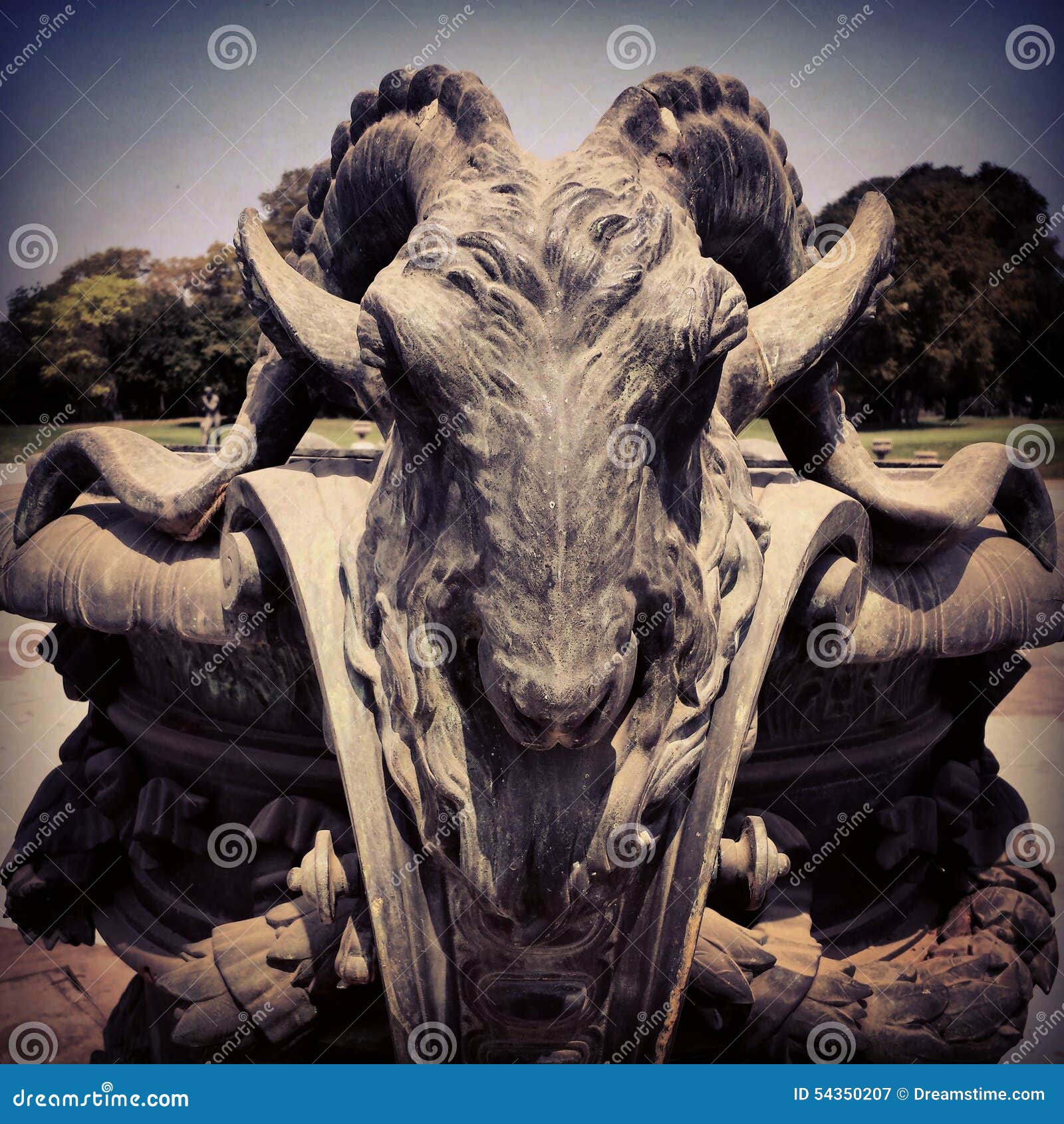 The Taurus stock image. Image of taurus, gujarat, goat - 54350207