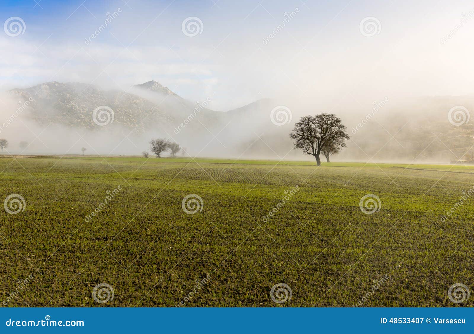 Taurus Mountain and Wheat Field Landscape, Turkey Stock Image - Image ...