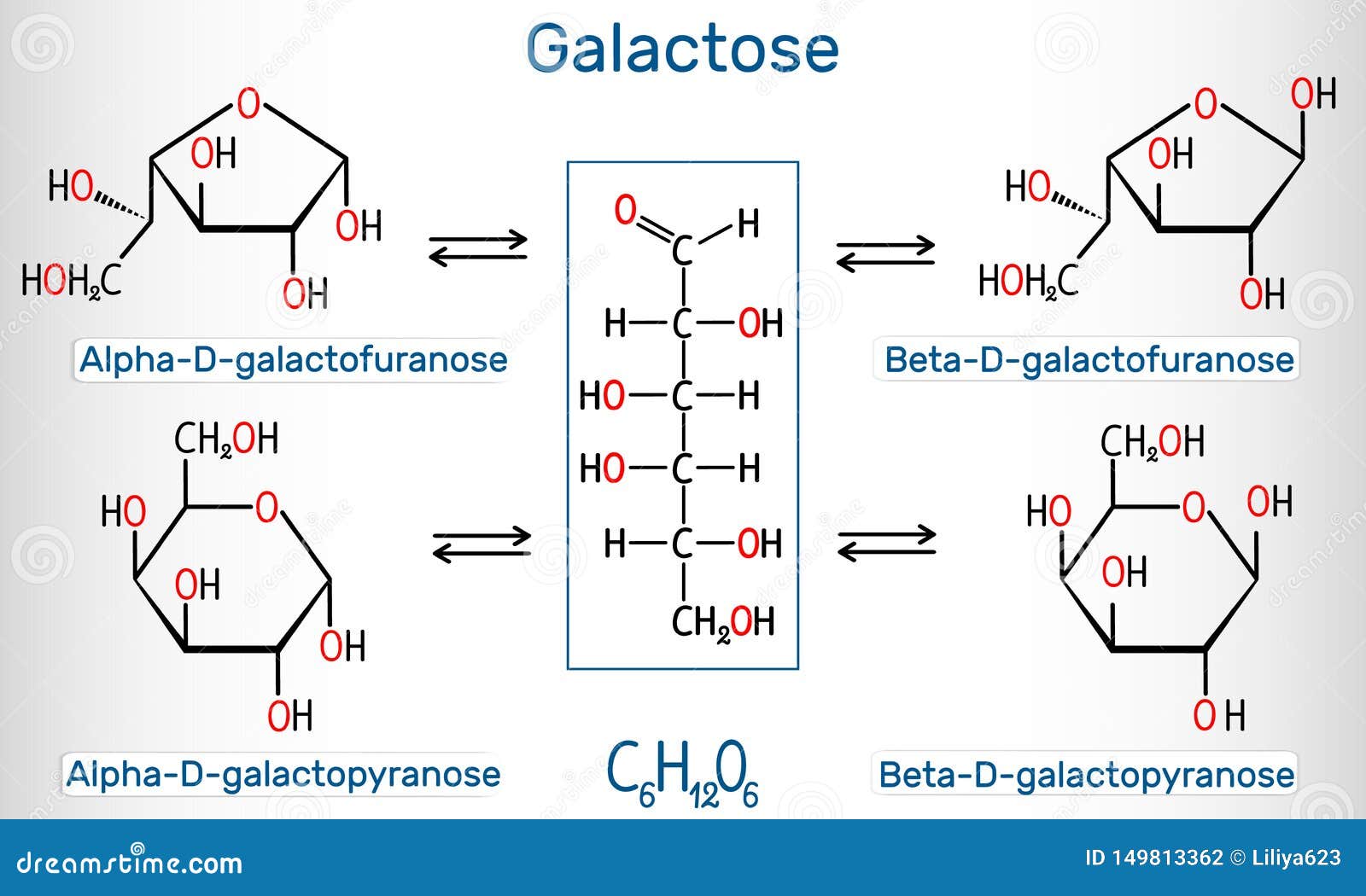 Tautomeric Forms of D-galactose, Milk Sugar. Alpha-D- Galactofuranose ... Tautomeric Forms of D-galactose, Milk Sugar. Alpha-D- Galactofuranose ...