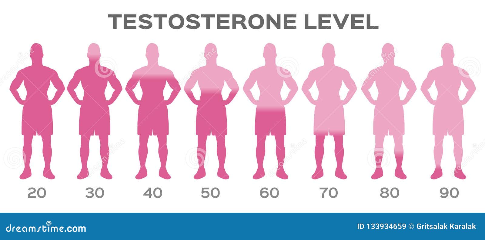 Taux Hormonal/homme De Testostérone Illustration de Vecteur ...