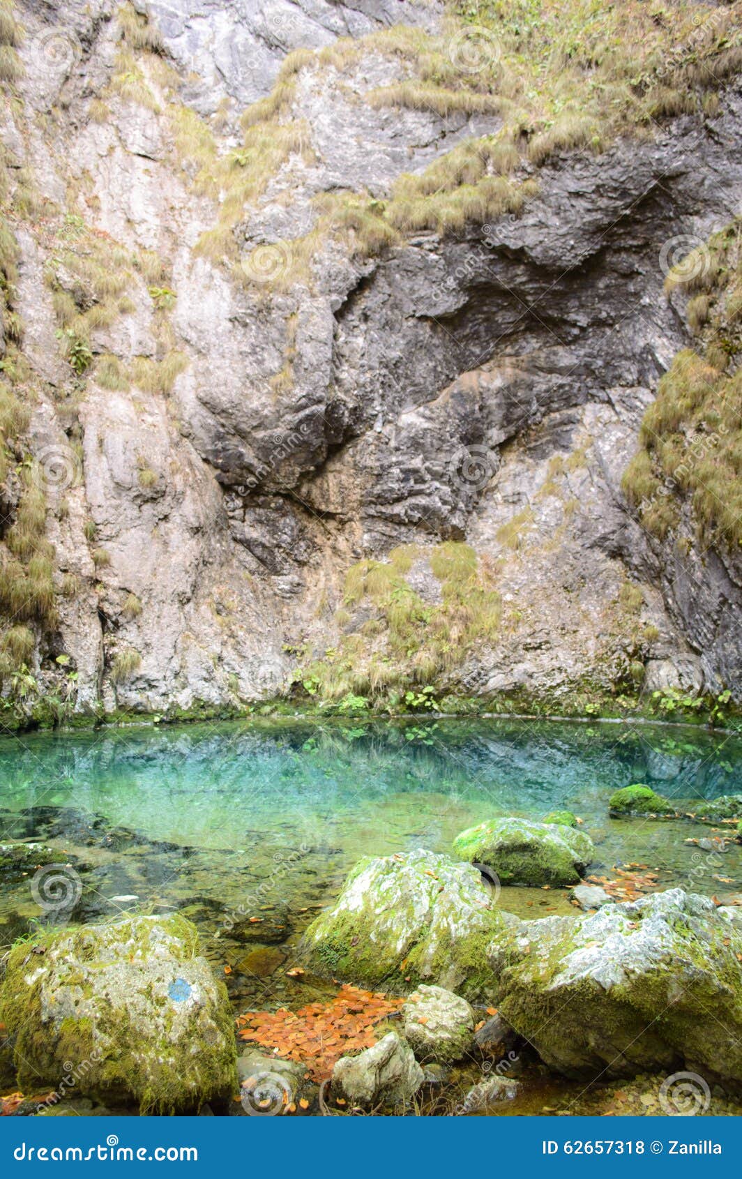 Tauz underground spring stock photo. Image of underwater - 62657318