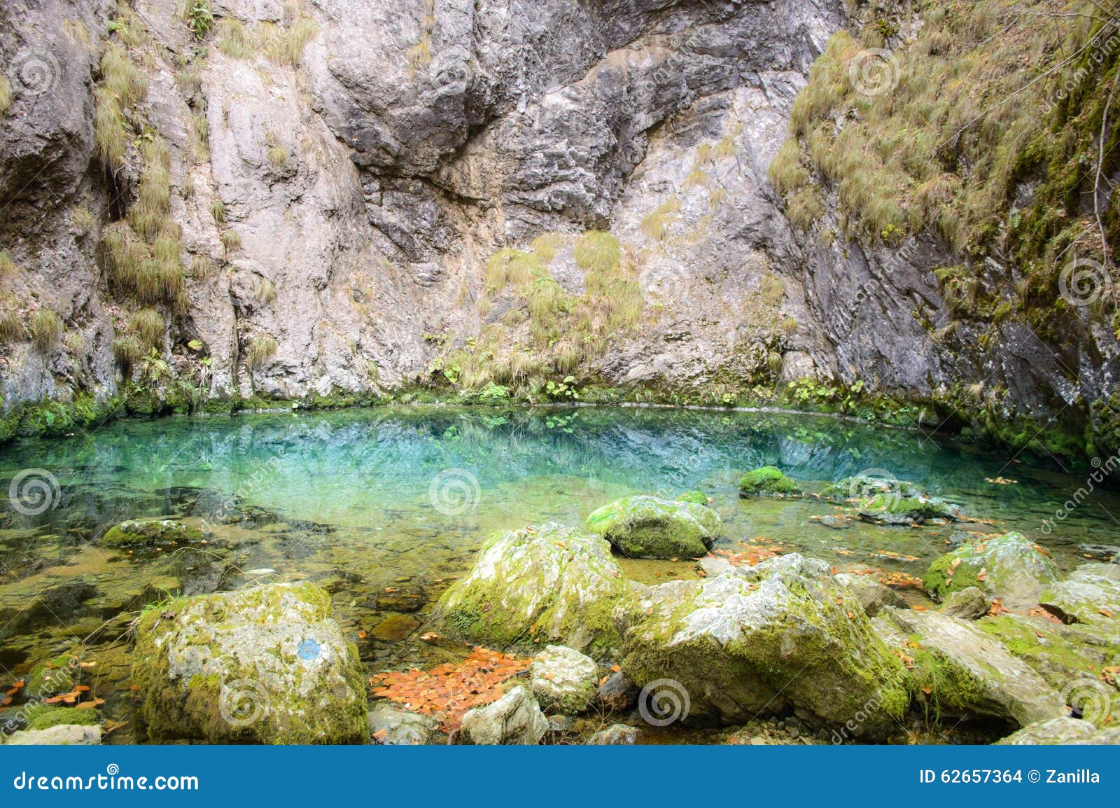 Tauz underground spring stock photo. Image of pond, autumn - 62657364
