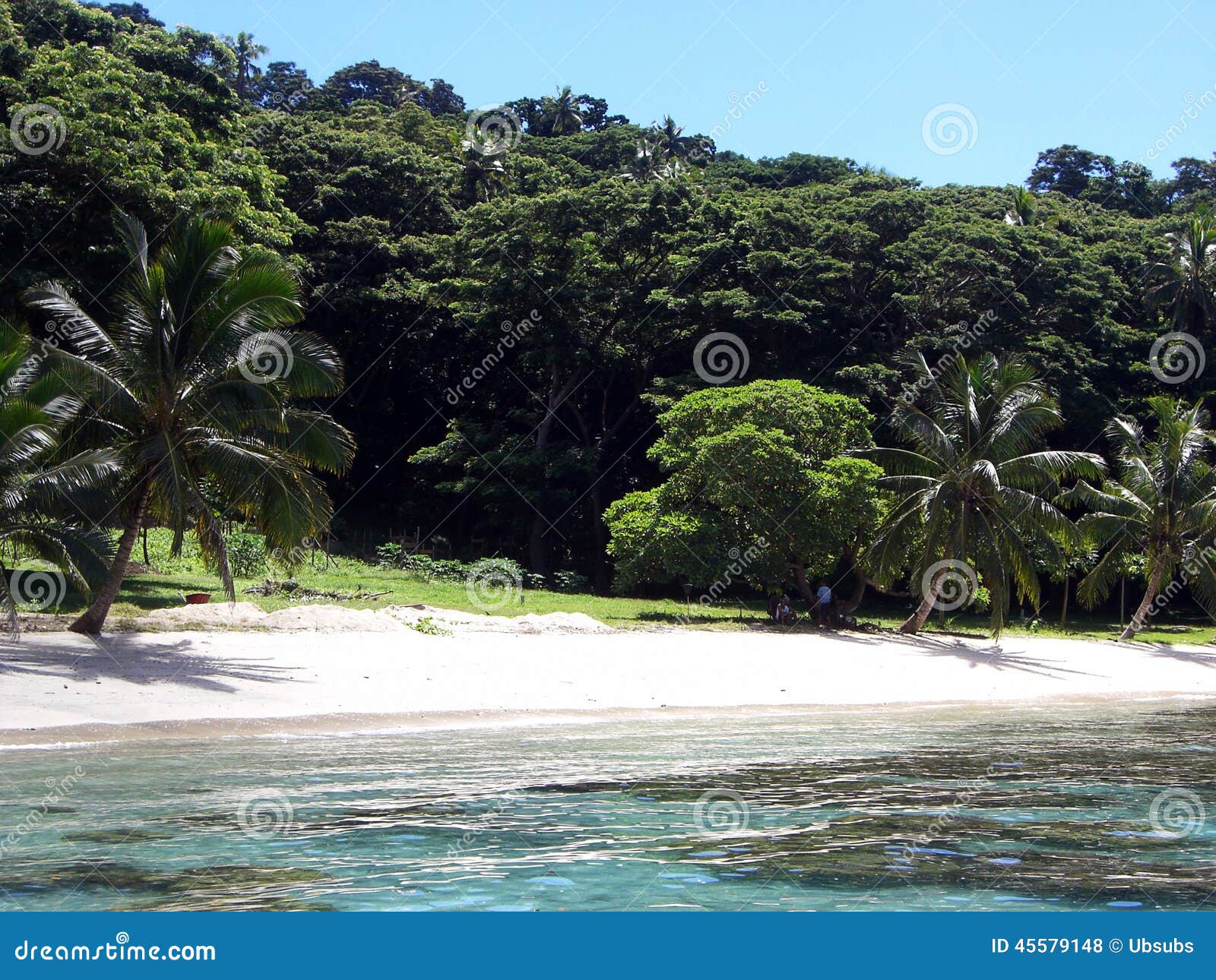 Taveuni island stock photo. Image of entlebuch, coast - 45579148