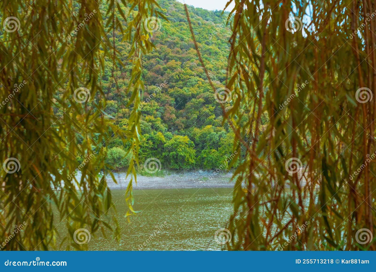 Tavush Reservoir is a Reservoir in Armenia Stock Photo - Image of flora ...