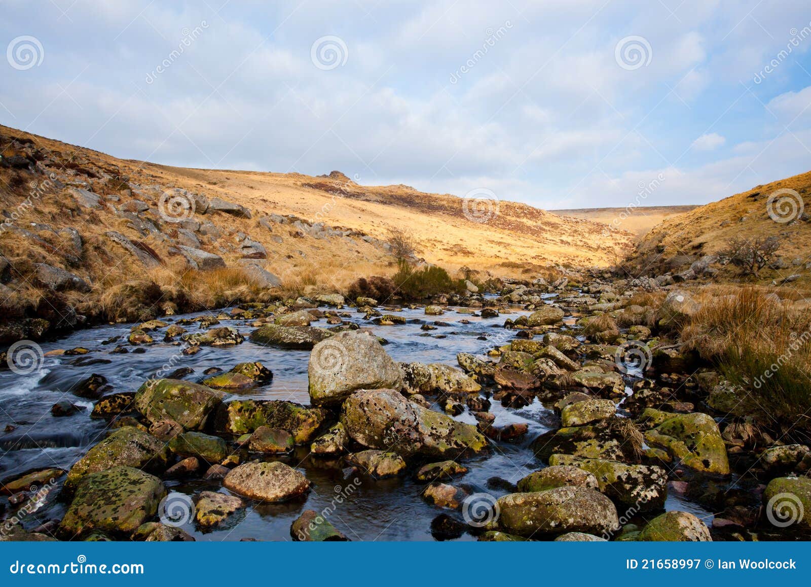 Tavy Cleave stock image. Image of devon, english, england - 21658997