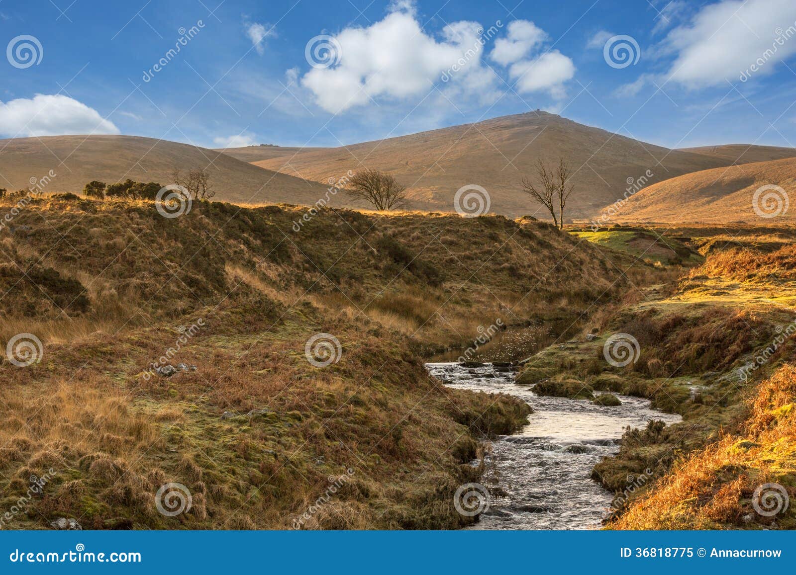 Taw Marsh stock image. Image of devon, marsh, rock, watercourse - 36818775