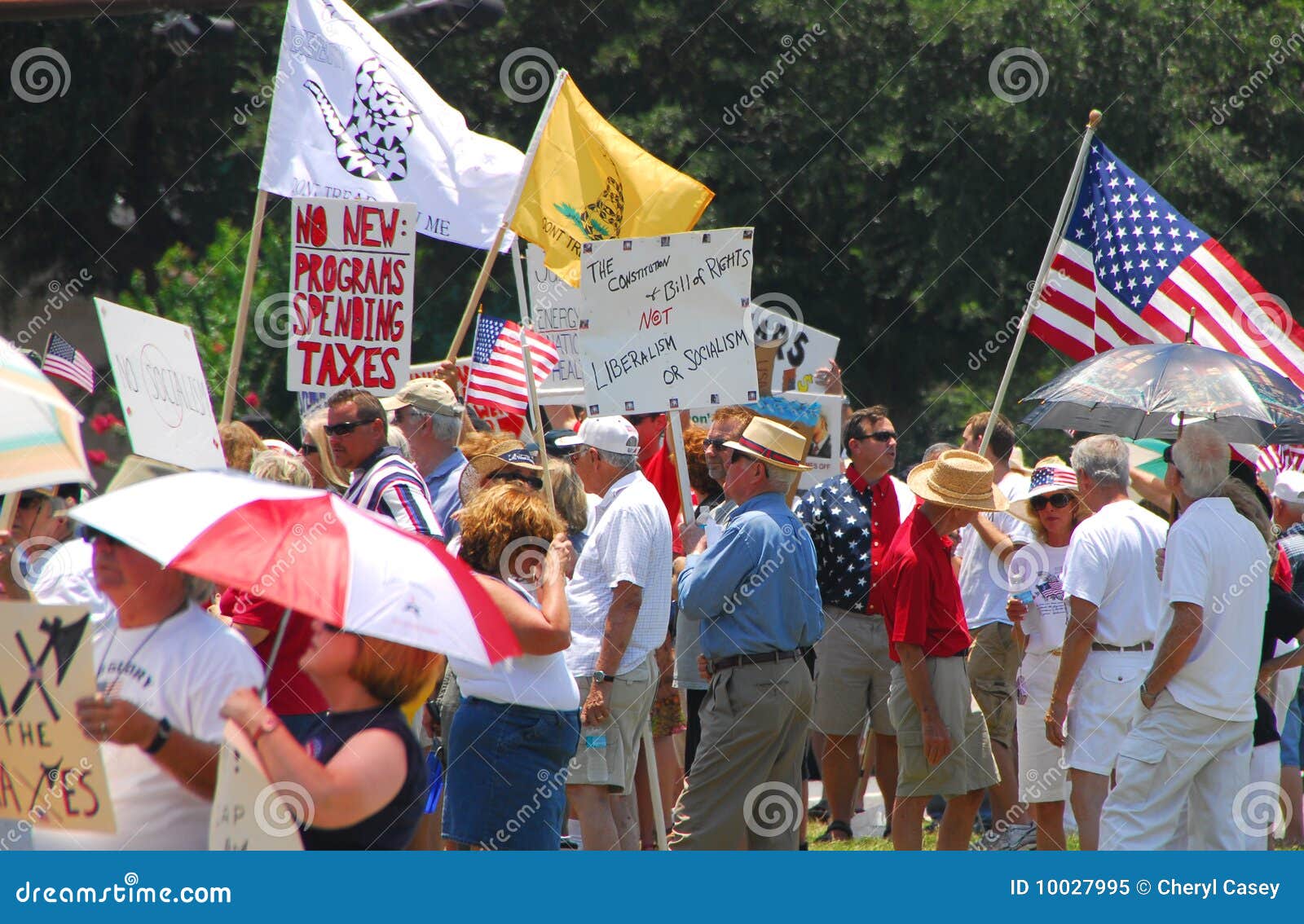 Tax Tea Party Protesters editorial image. Image of parade - 10027995