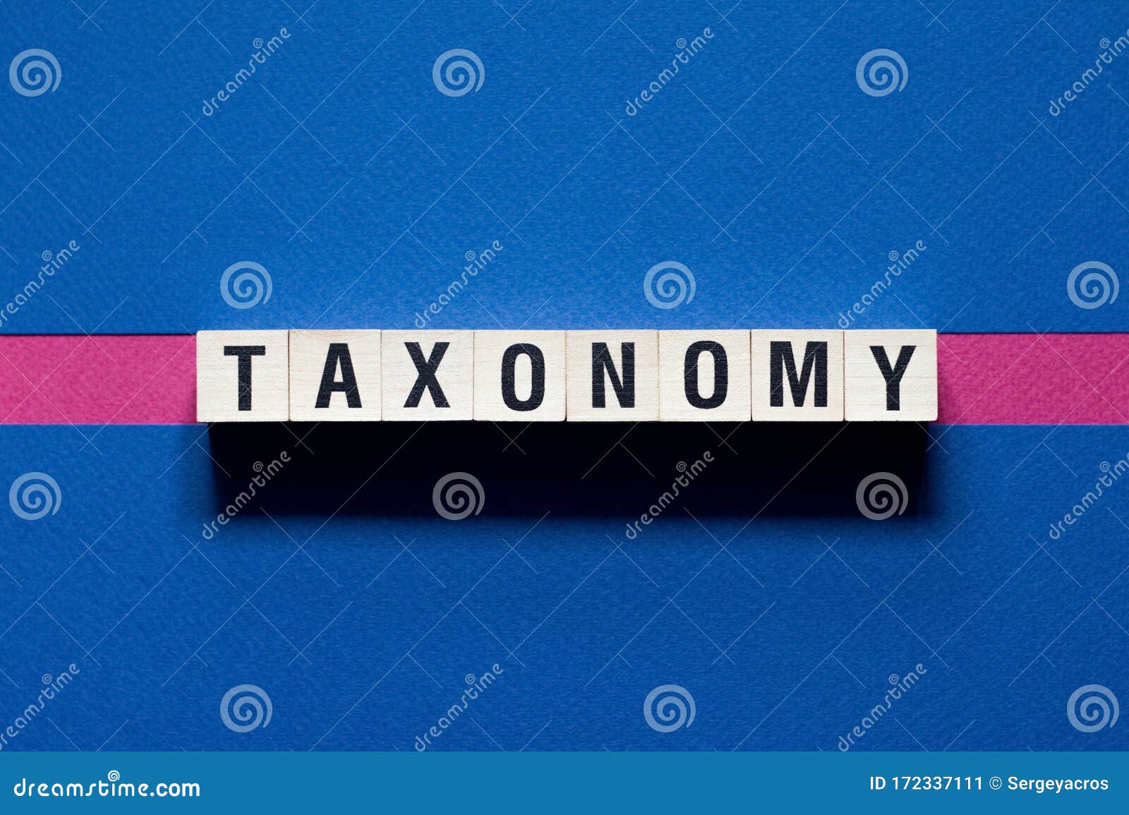 Taxonomy Word Concept on Cubes Stock Image - Image of evolution ...