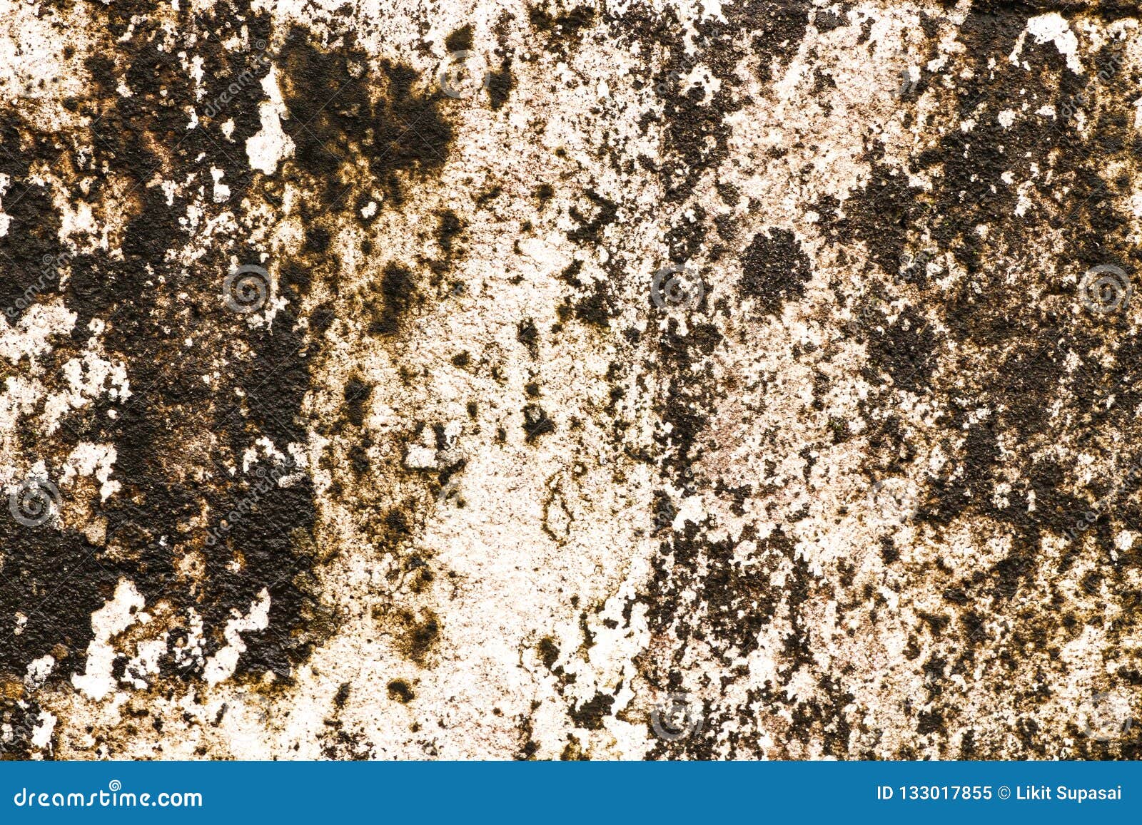 Taxture cemen at my home stock image. Image of concrete - 133017855