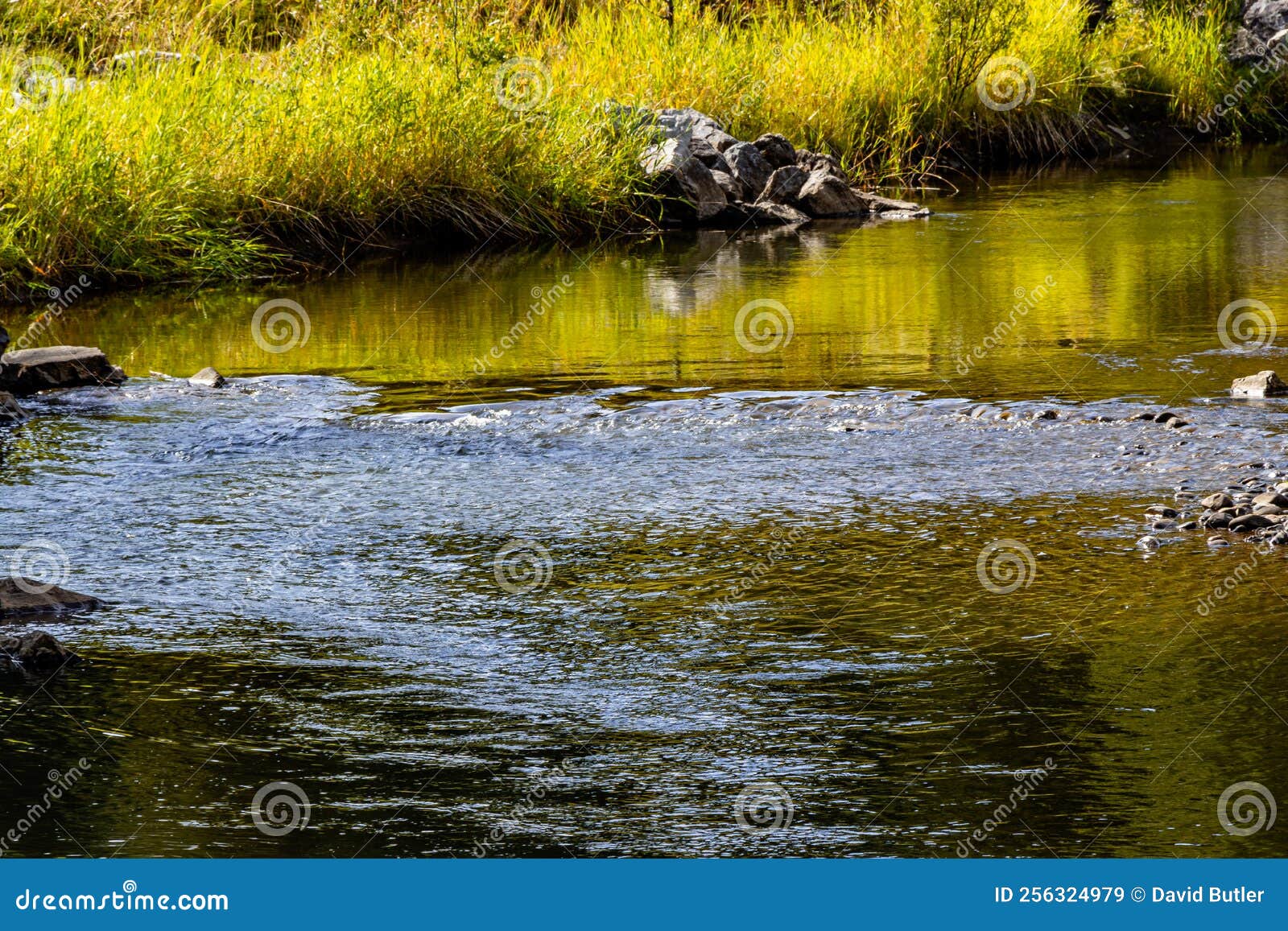 Tay River Provincial Recreation Area Alberta Canada Stock Image - Image ...